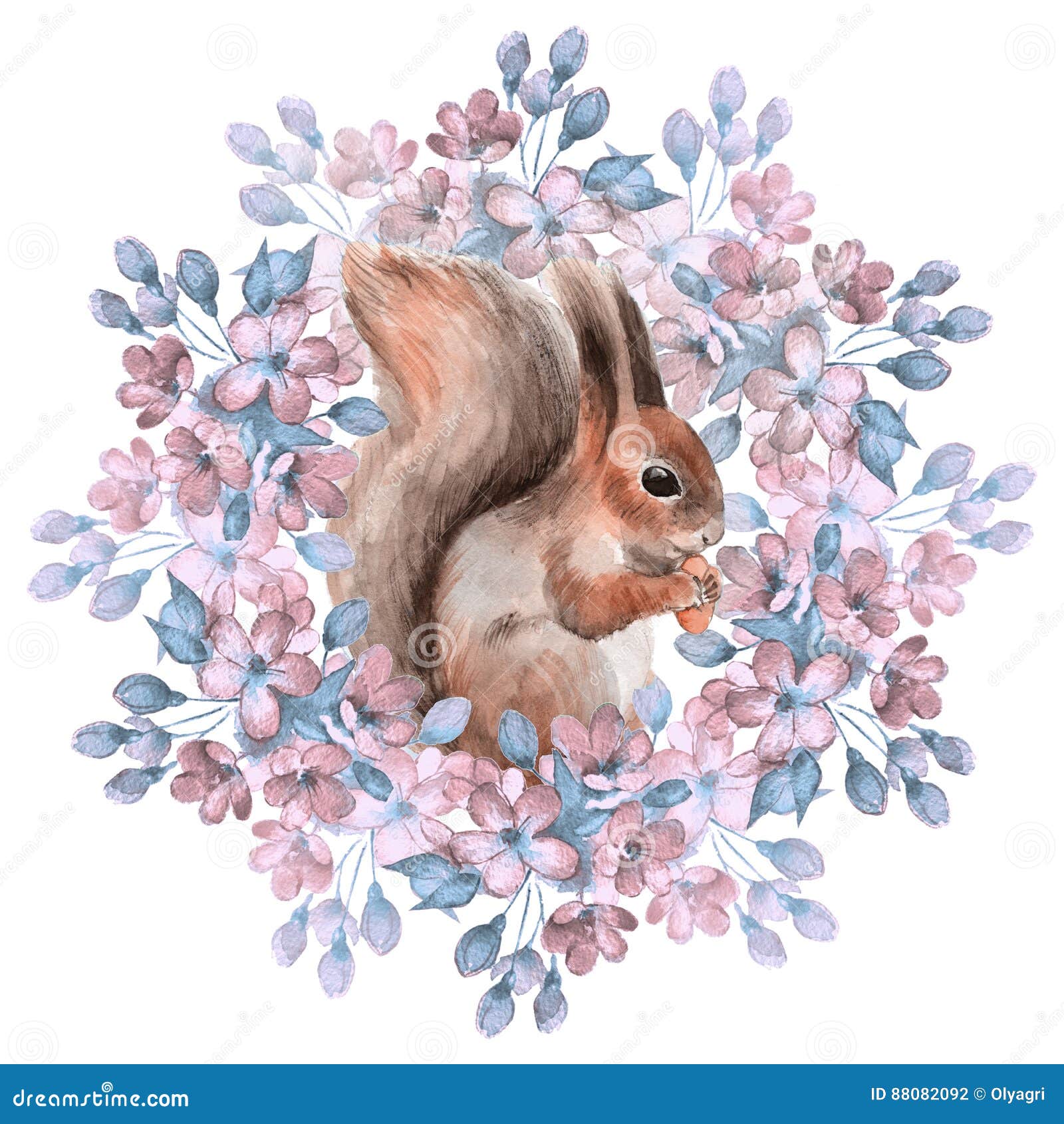 Squirrel Stock Illustrations – 20,600 Squirrel Stock Illustrations ...
