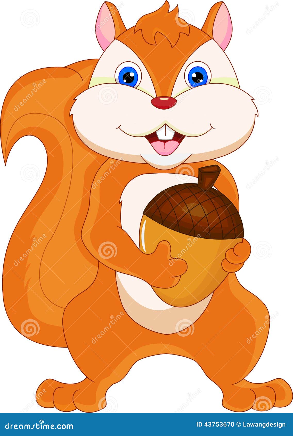Squirrel holding nut stock vector. Illustration of cartoon - 43753670