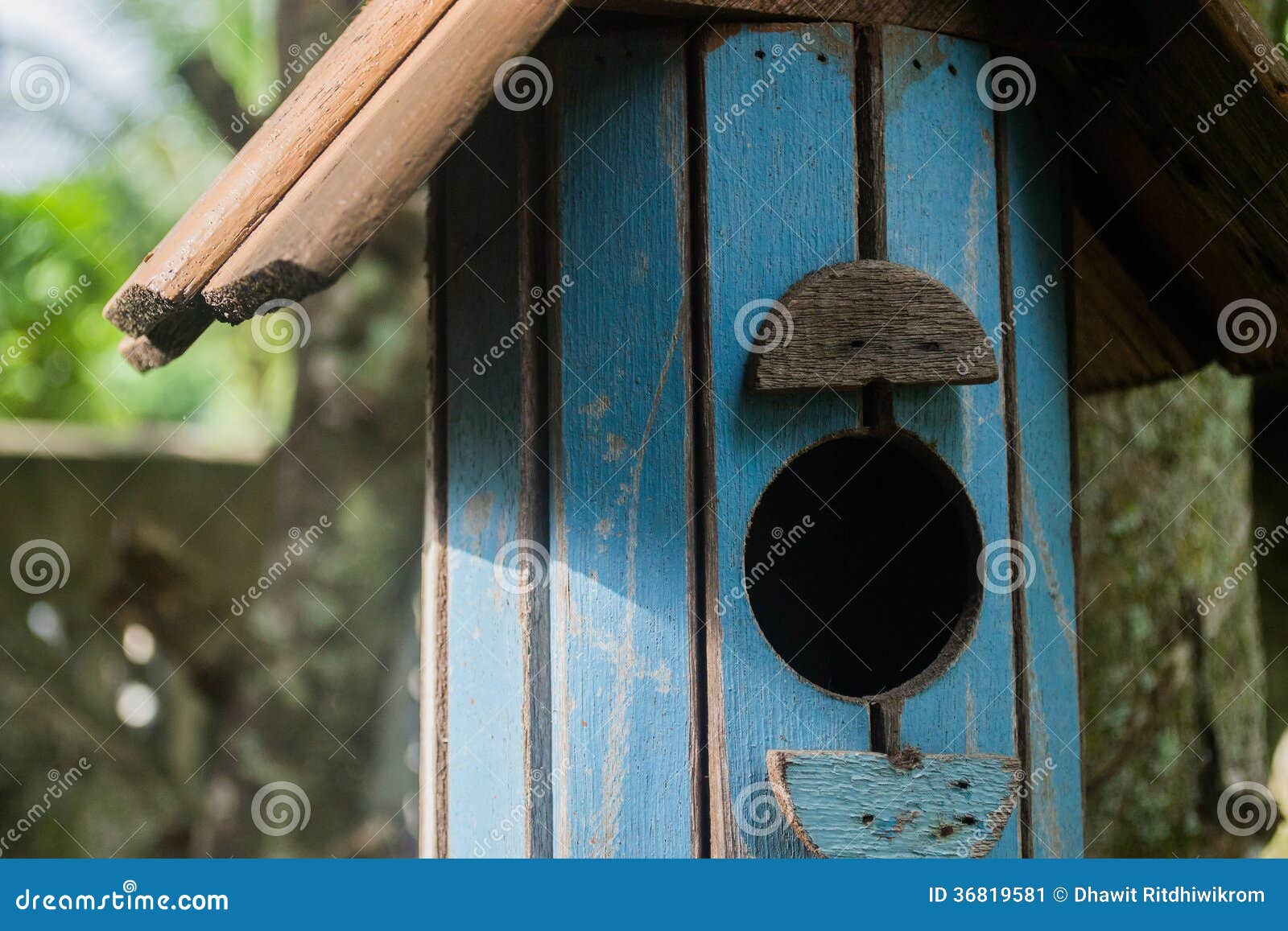 Squirrel House stock image. Image of hang, nest, wood - 36819581