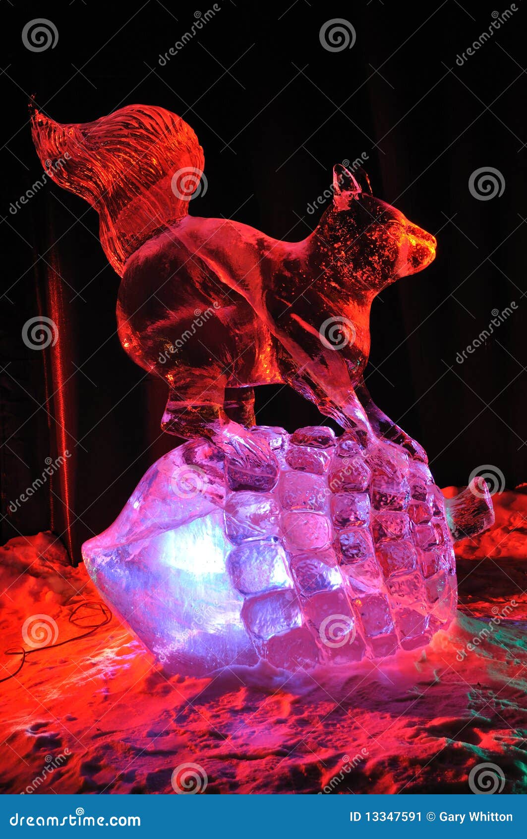 Squirrel Ice Sculpture editorial photo. Image of life - 13347591