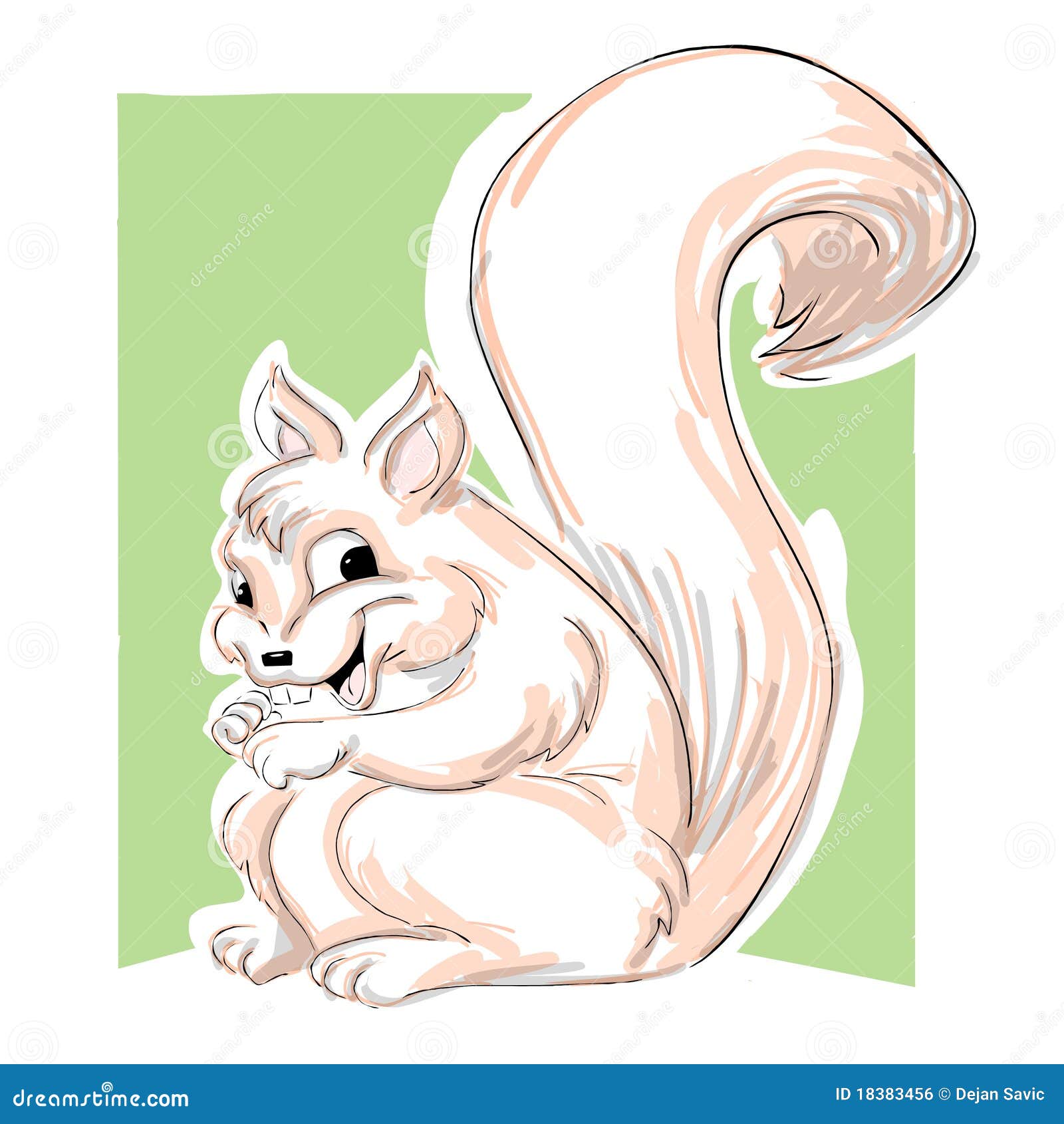 Squirrel illustration stock illustration. Illustration of squirrel ...
