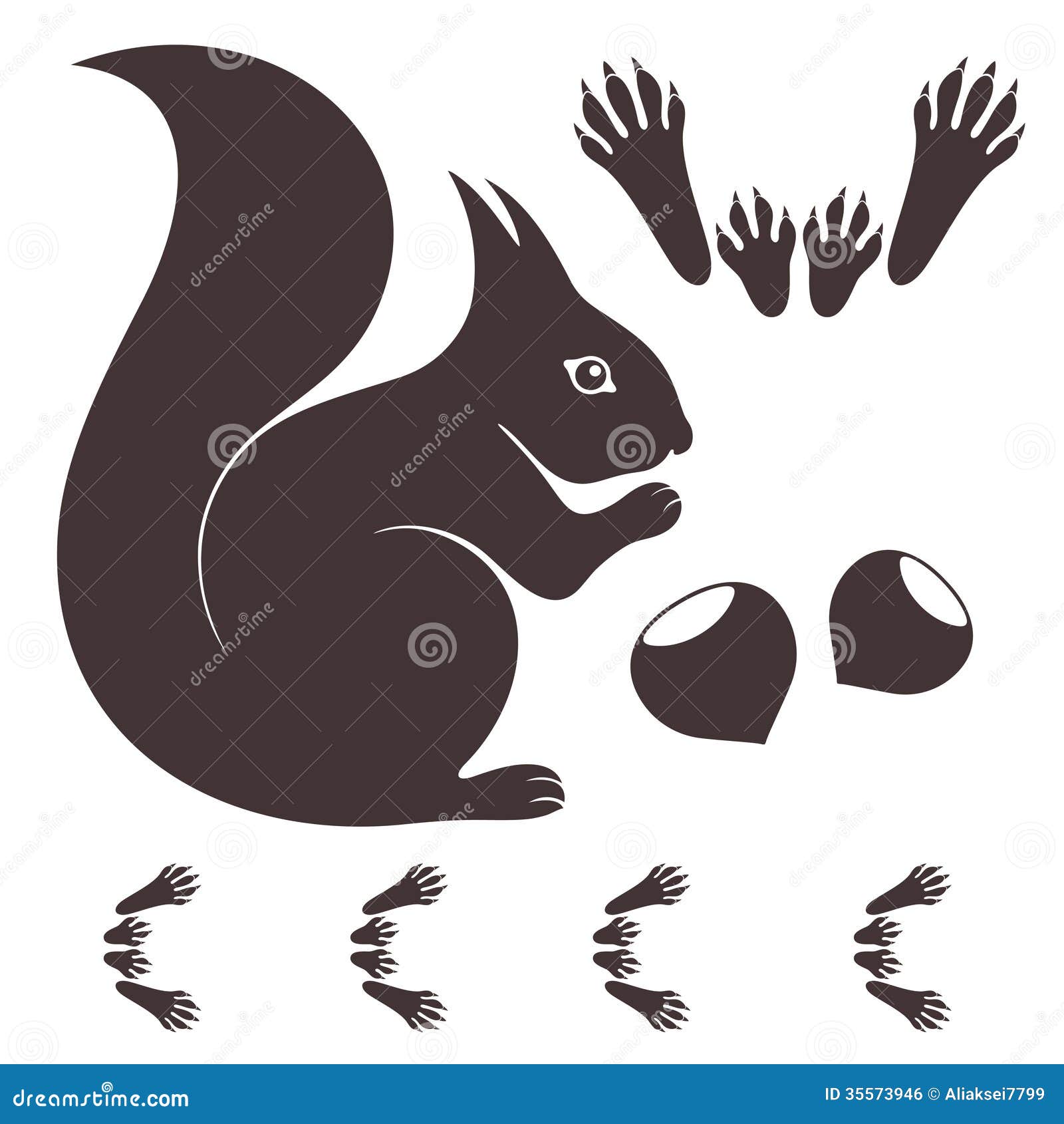 Squirrel Footprint Illustration, Drawing, Engraving, Ink, Line Art ...