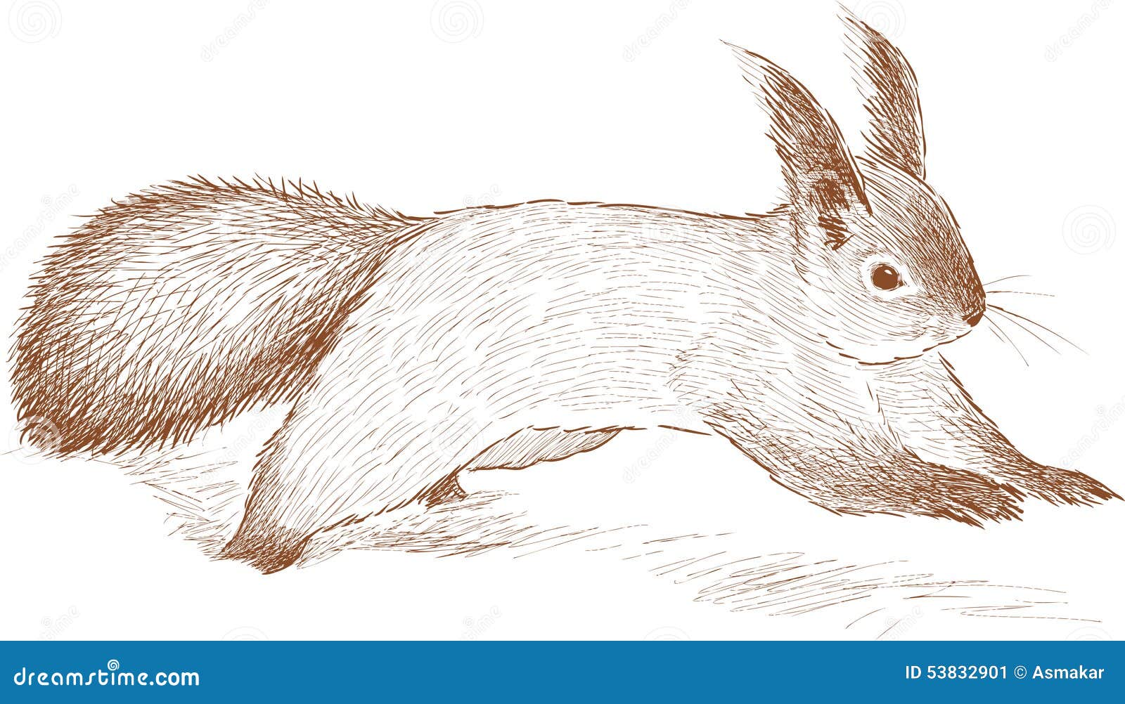 Squirrel Jumping in the Snow Stock Vector - Illustration of rodent ...