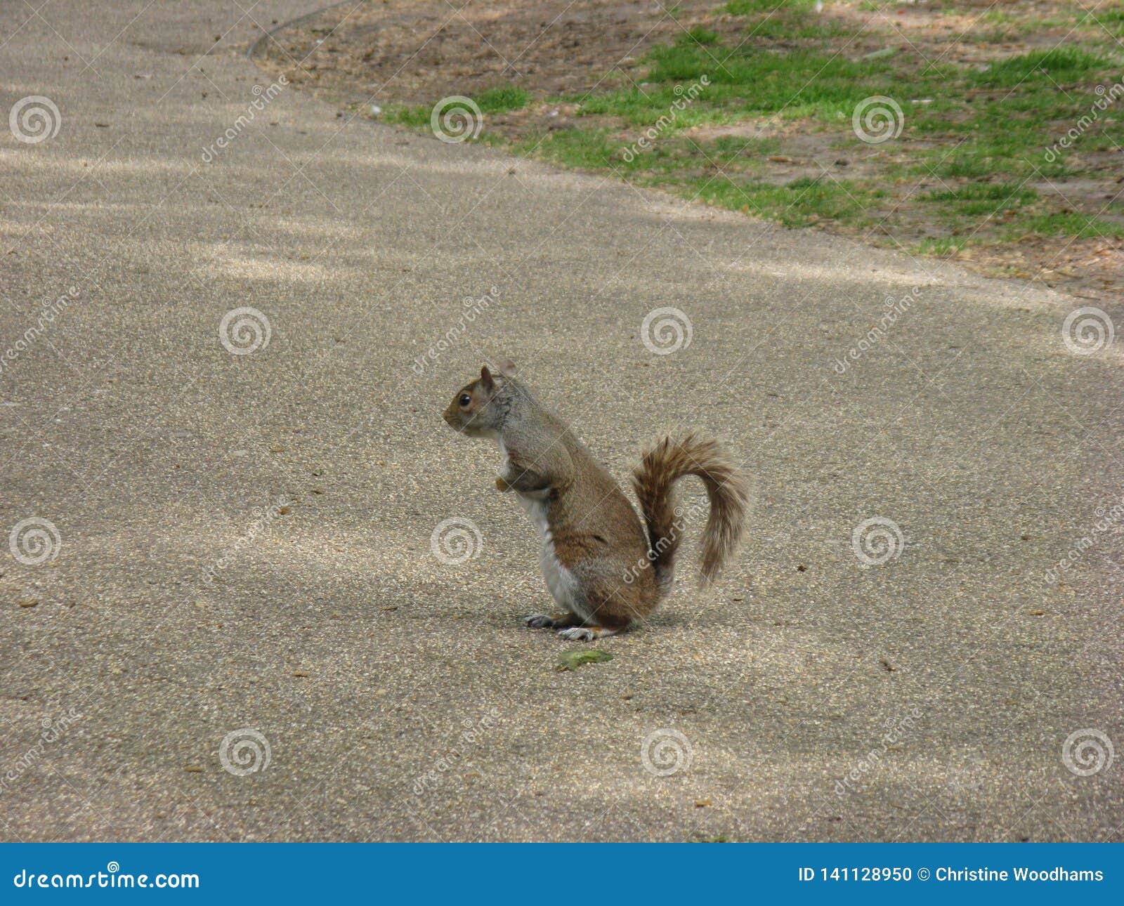 Cheeky Looking Girl On Country Walk Royalty-Free Stock Photography ...