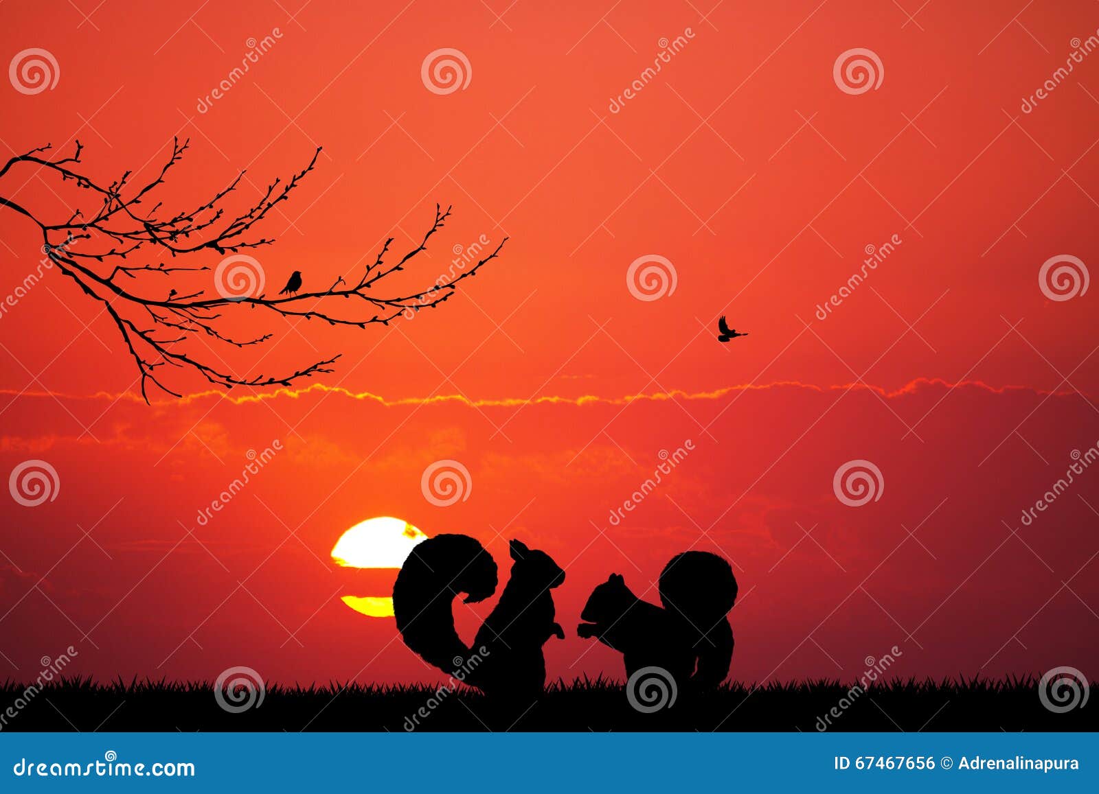 Squirrel in love at sunset stock illustration. Illustration of ...