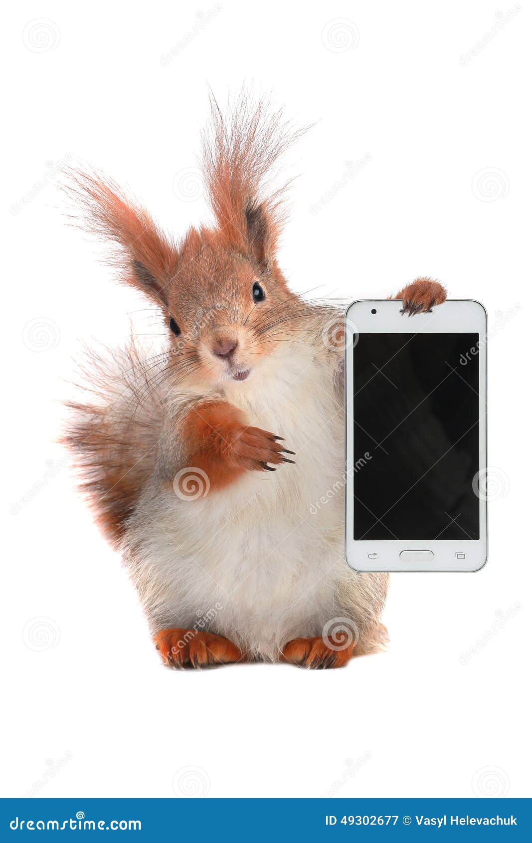 Animal Cell Anatomy, Biological Animal Cell With Organelles Cross ...