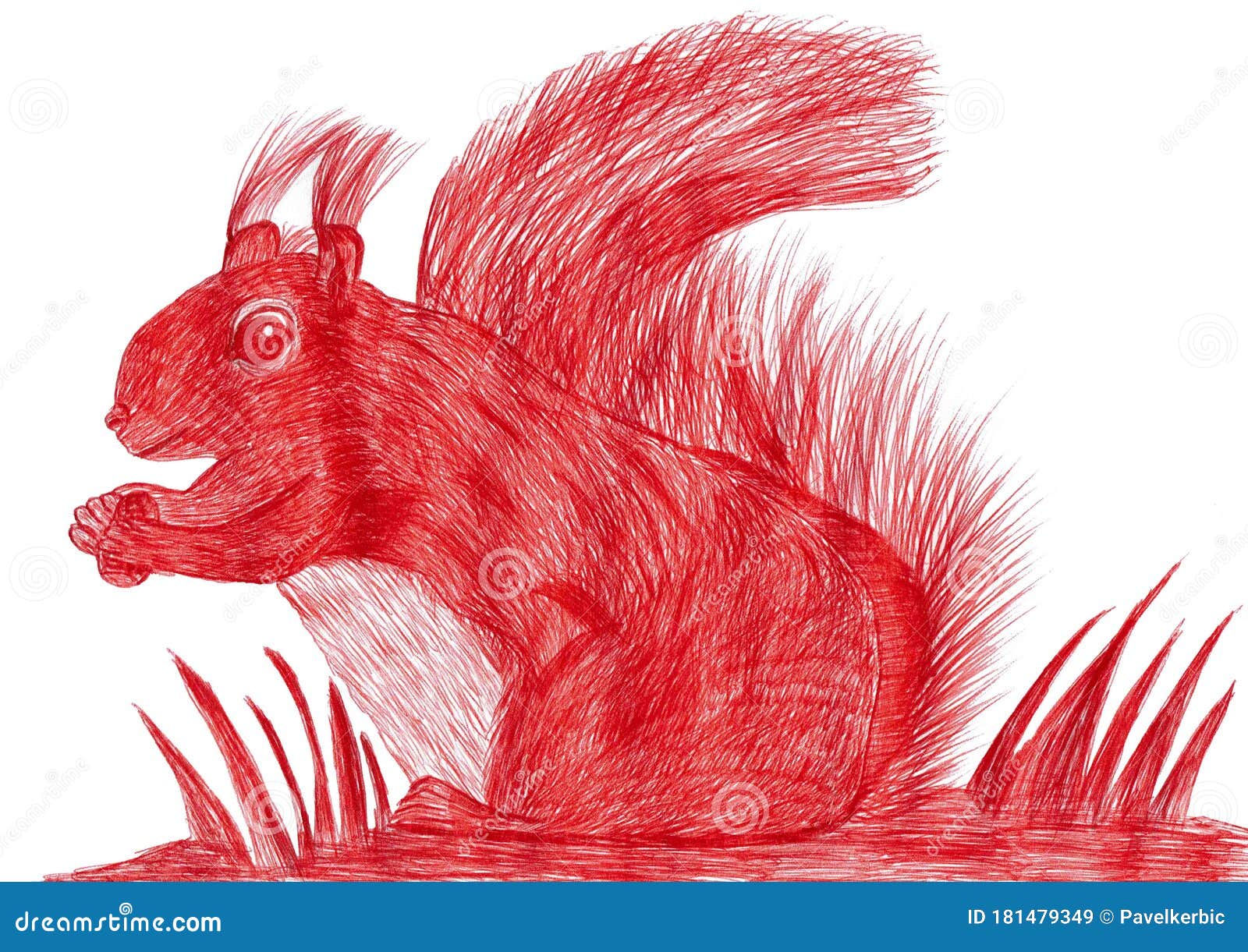 Squirrel with Nut, Hand Drawn Red Ballpoint Drawing Stock Illustration ...