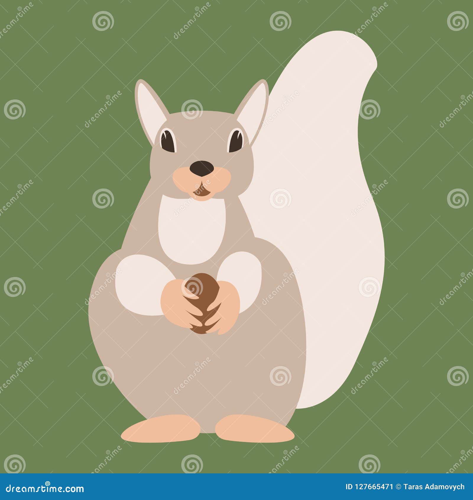 Red Squirrel, Front View Of Sciurus Vulgaris, Isolated On White ...