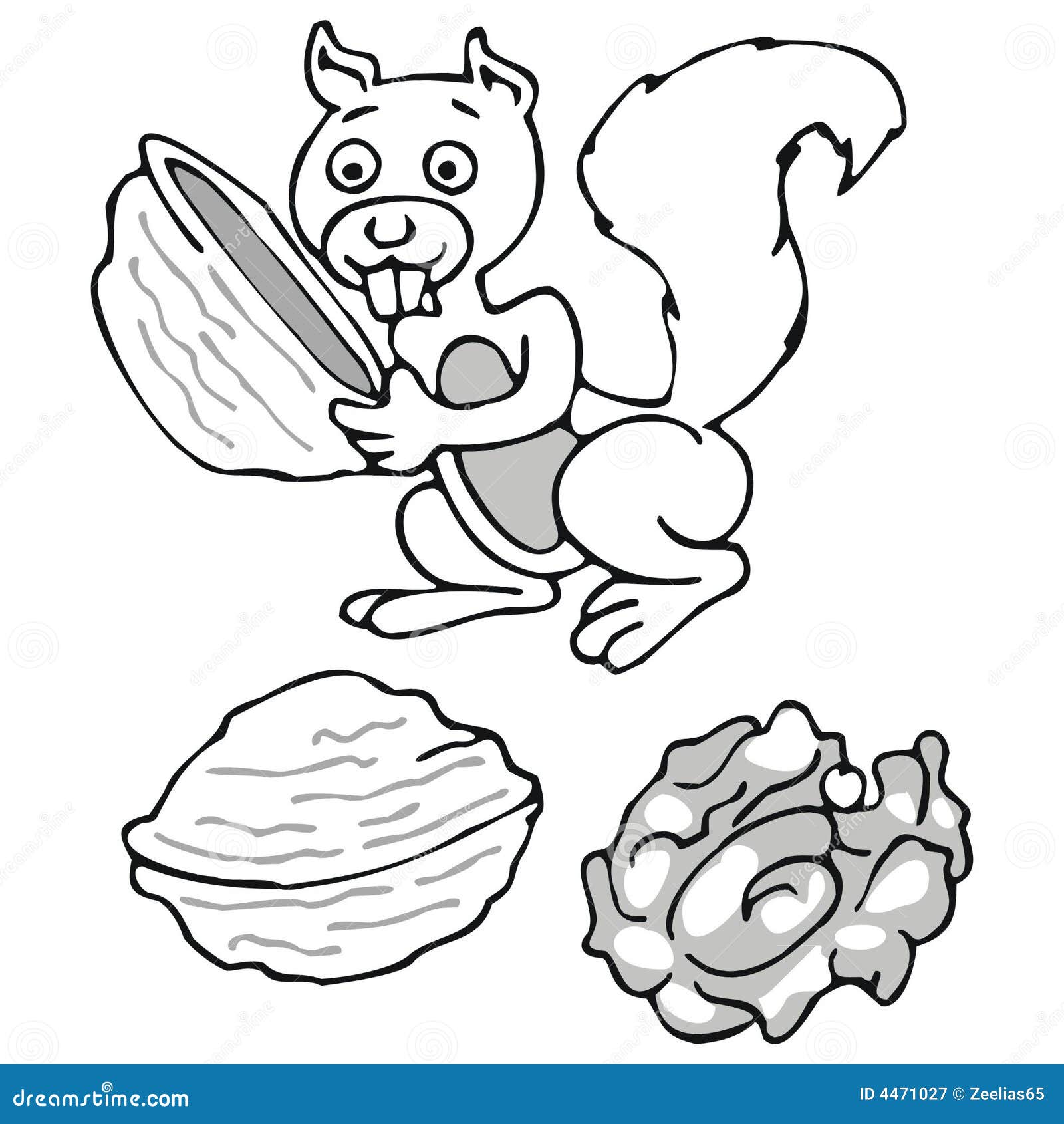 Squirrel and nuts stock vector. Illustration of cartoon - 4471027