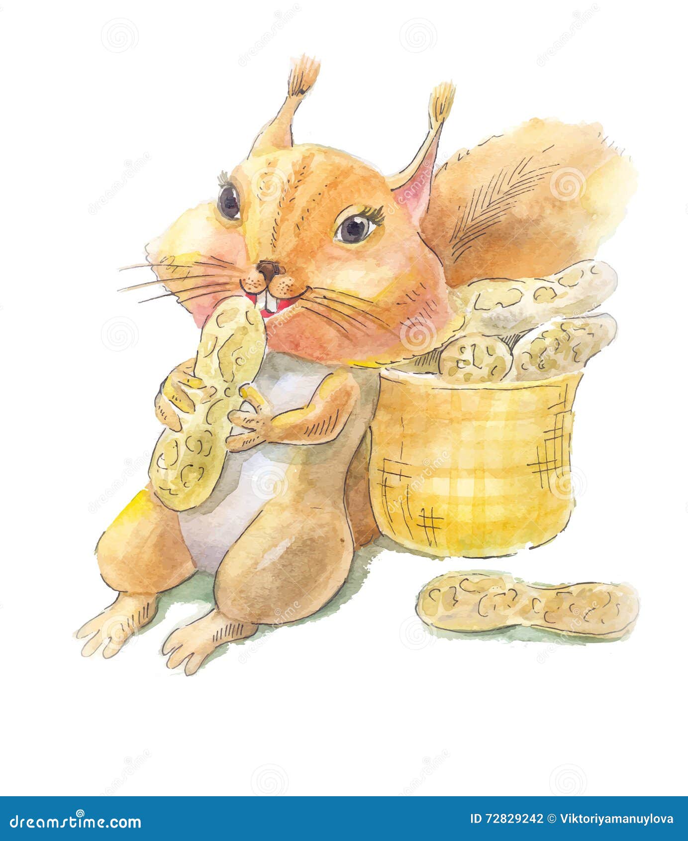 Squirrel with Nuts of Peanut. Watercolor Illustration Stock Vector ...