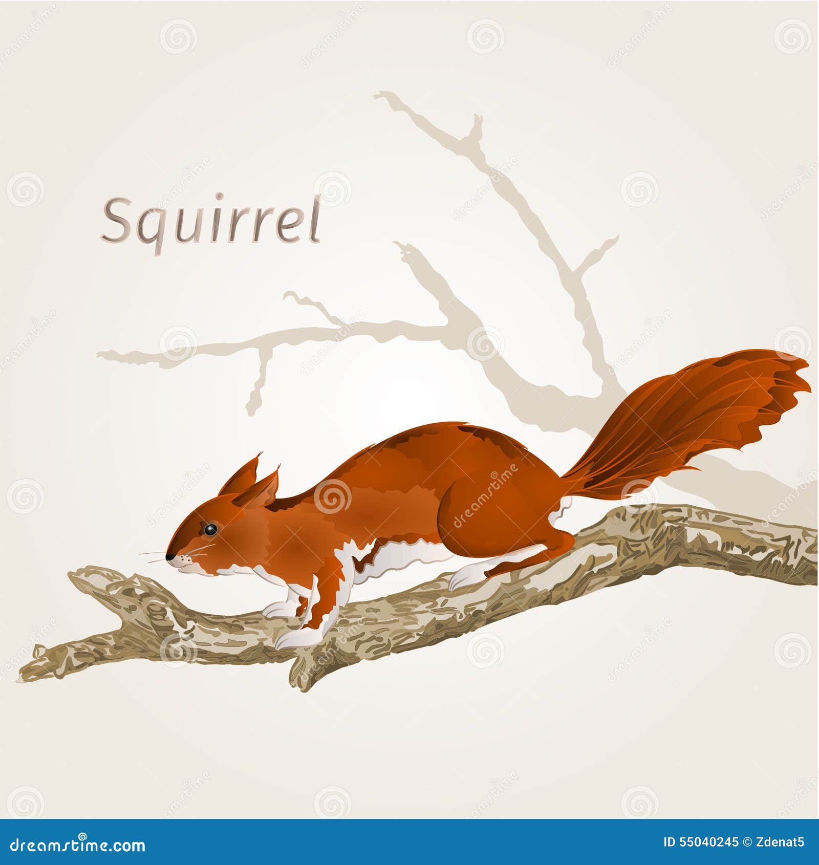 Squirrel on an Old Tree Vector Stock Vector - Illustration of rodent ...