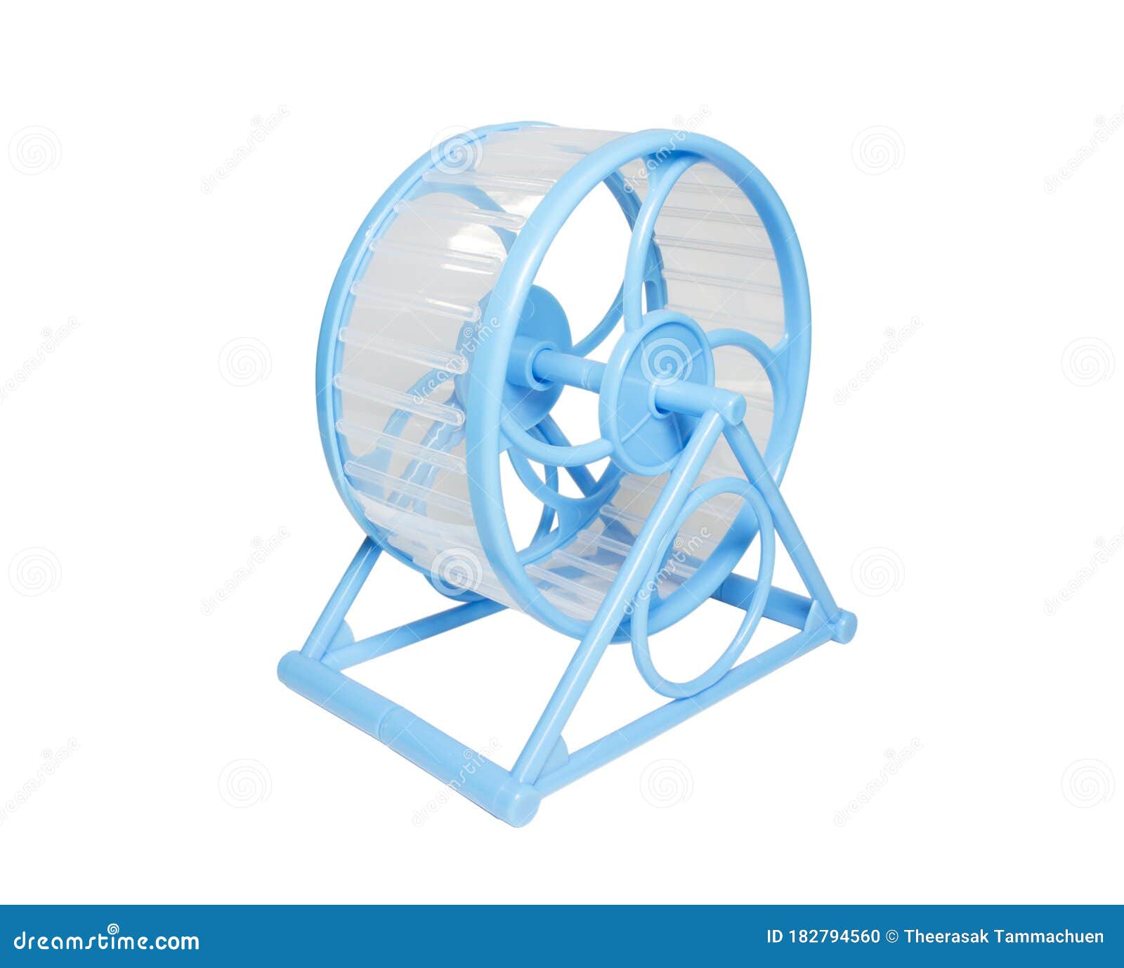 Squirrel Running after a Wheel on a White Background Stock Illustration ...