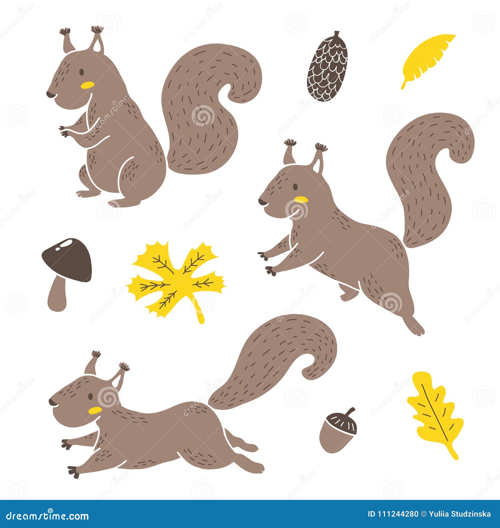 Squirrel set stock vector. Illustration of squirrel - 111244280