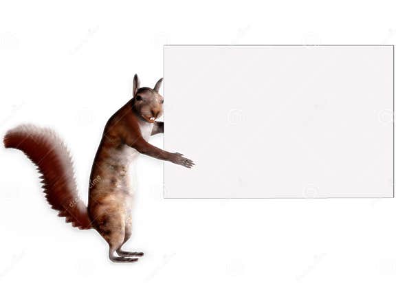 Squirrel with sign stock illustration. Illustration of empty - 5464690