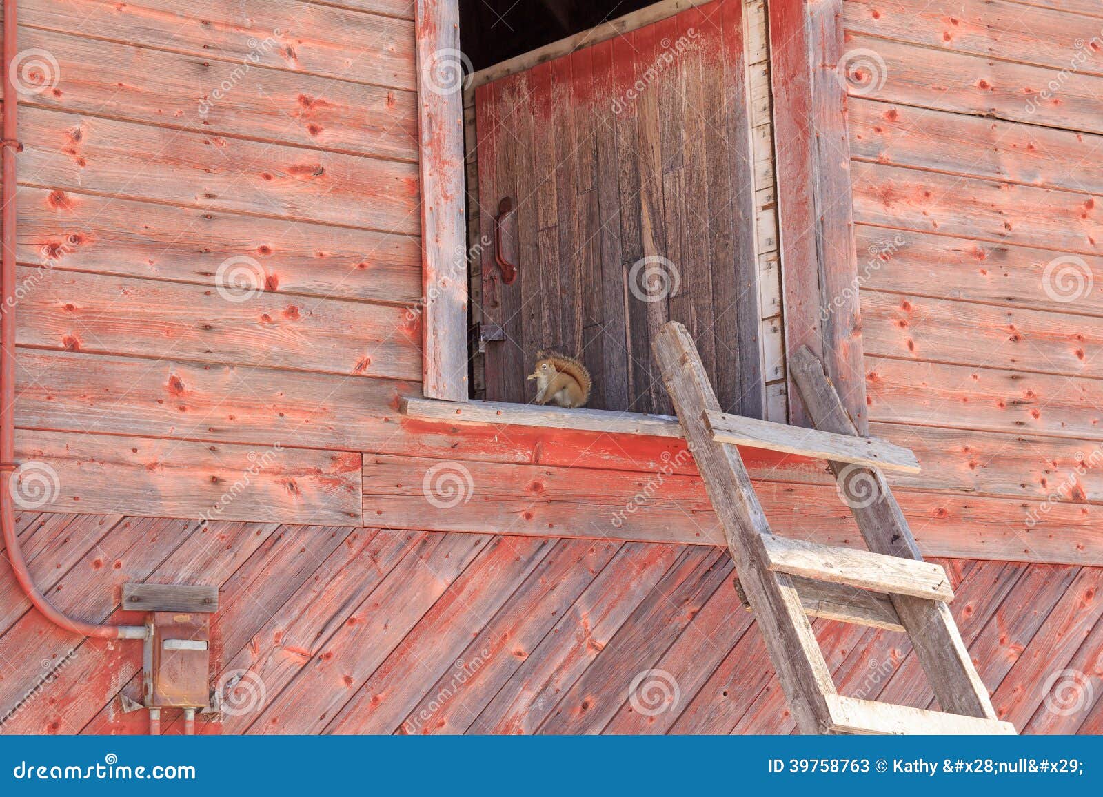 Squirrel Sitting in a Barn Loft Stock Image - Image of barn, weathered ...
