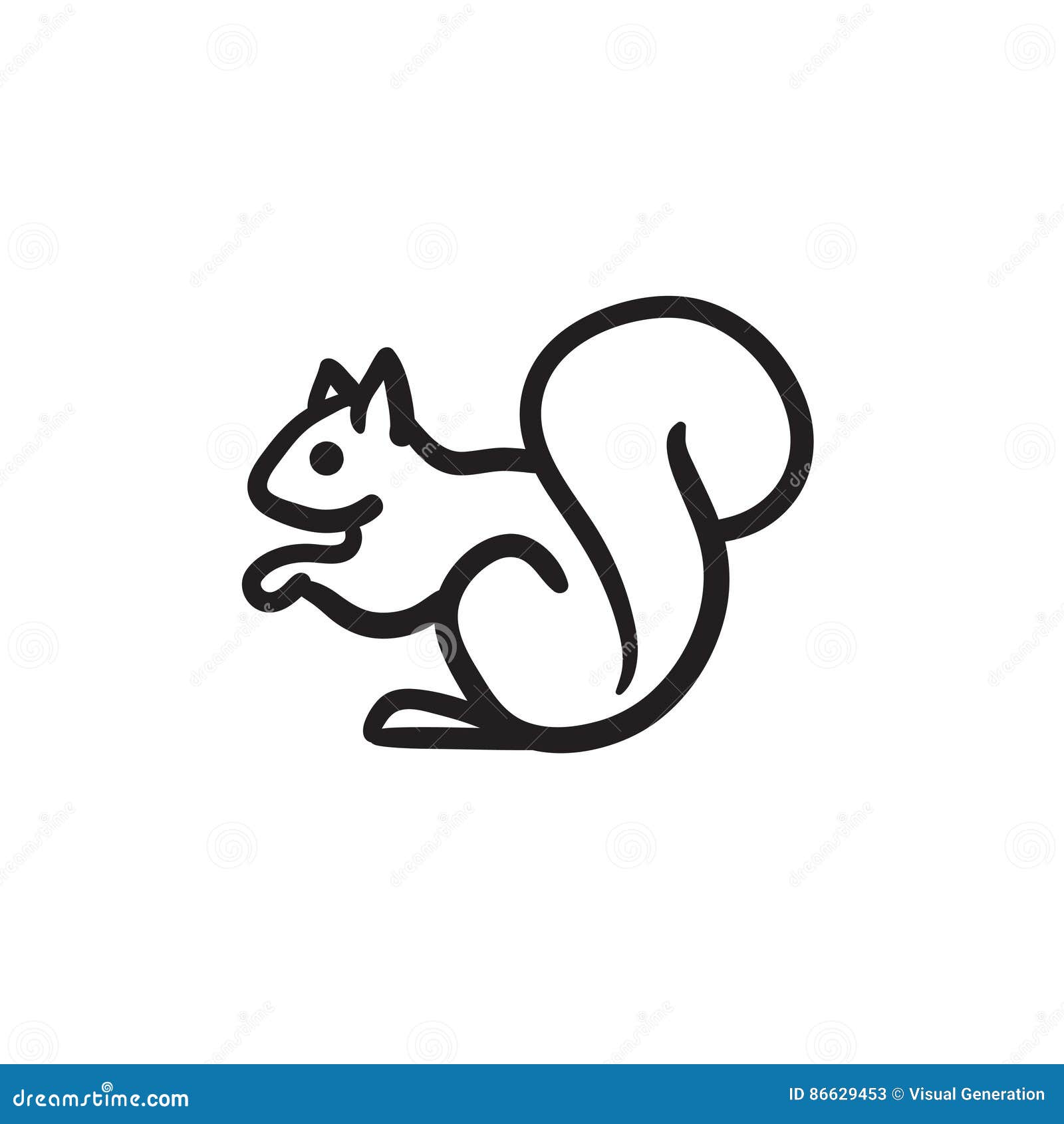 Squirrel sketch icon. stock vector. Illustration of fury - 86629453