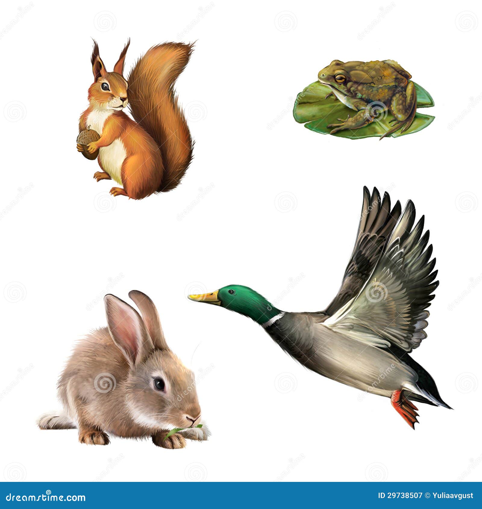 Domestic Drake Grazing In A Green Meadow Flat Cartoon Illustration ...