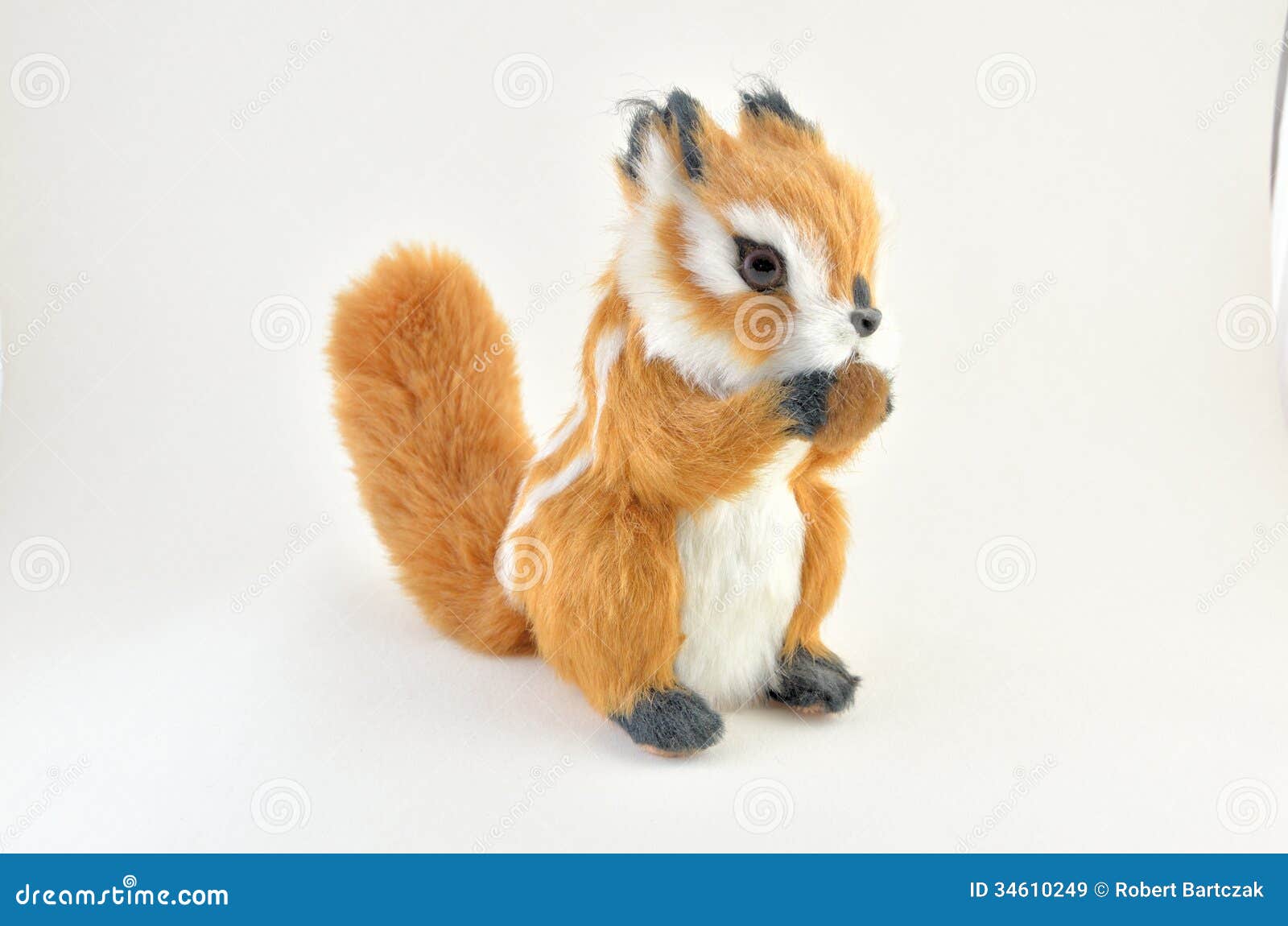 Squirrel toy stock image. Image of play, decorative, squirrel - 34610249