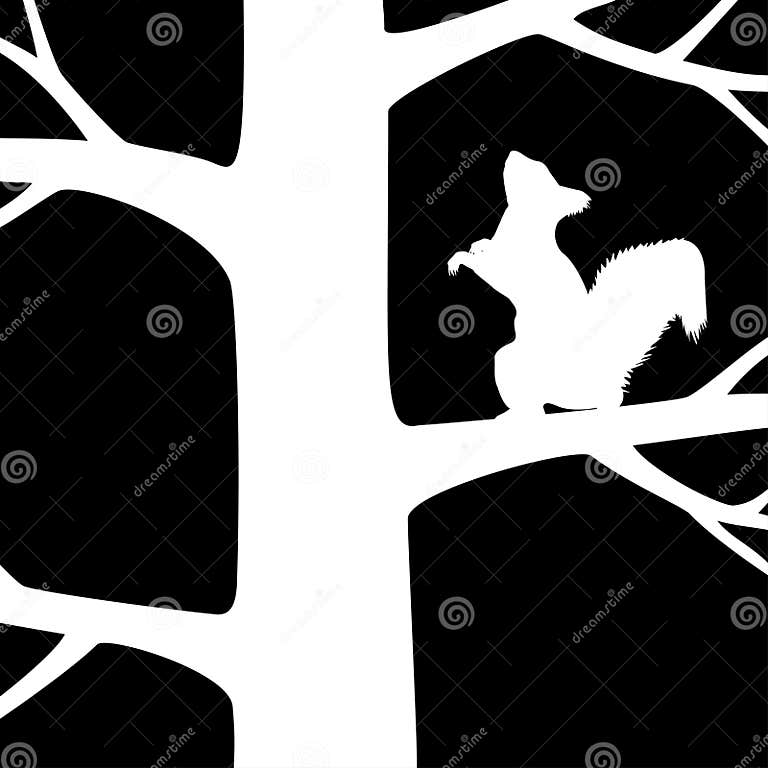 Squirrel on the tree. stock vector. Illustration of outline - 91101796