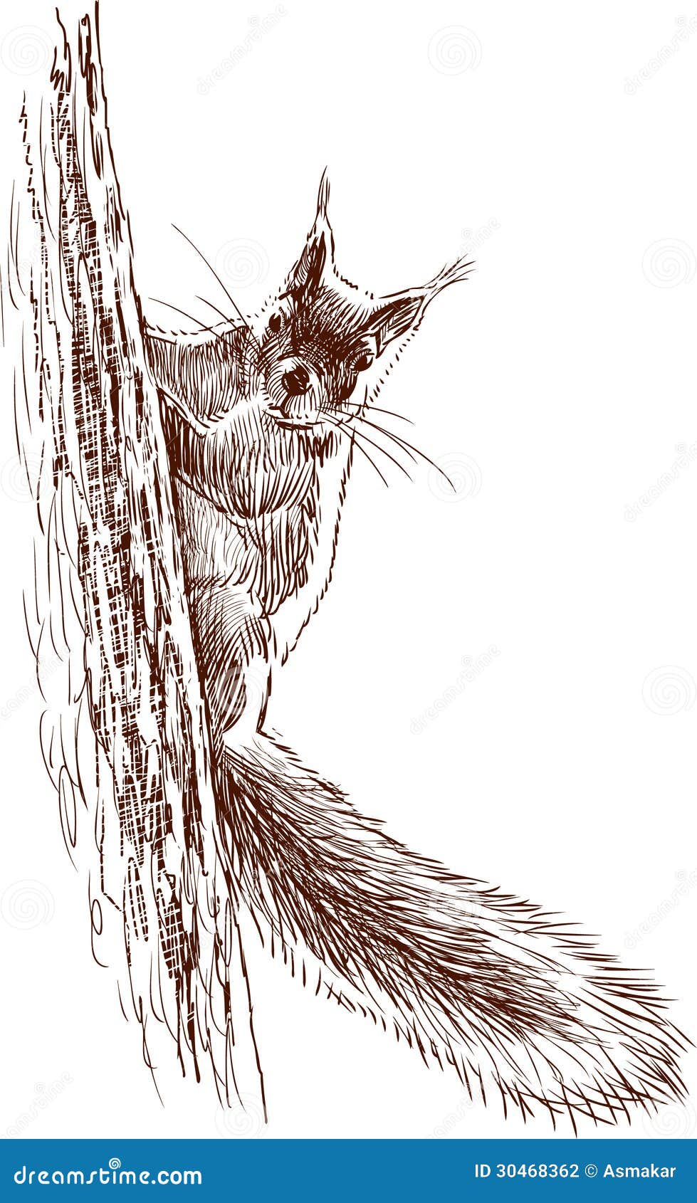 Squirrel on a tree stock vector. Illustration of tail - 30468362