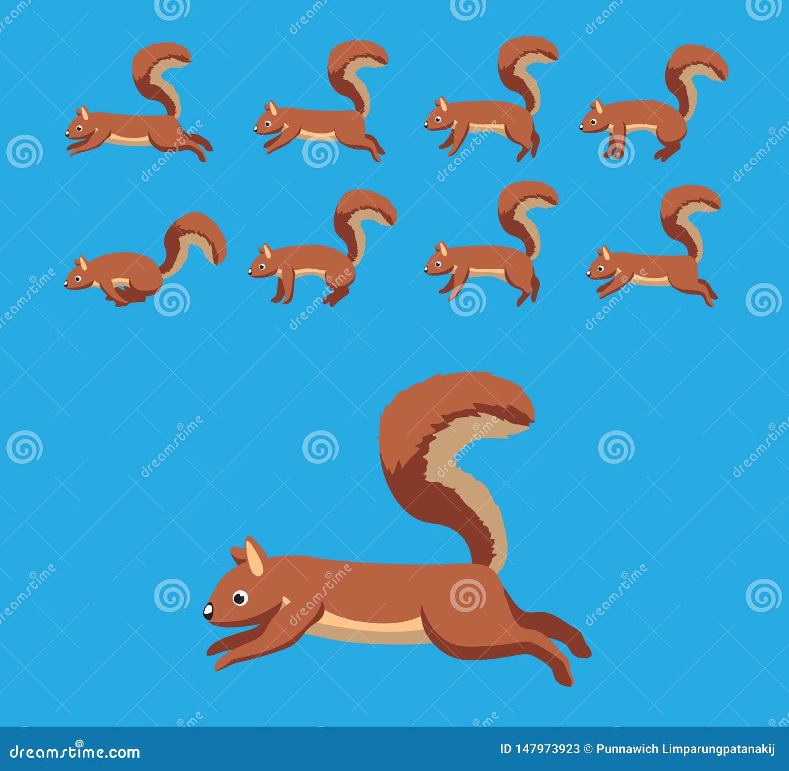 Squirrel Walking Motion Animation Sequence Cartoon Vector Illustration ...