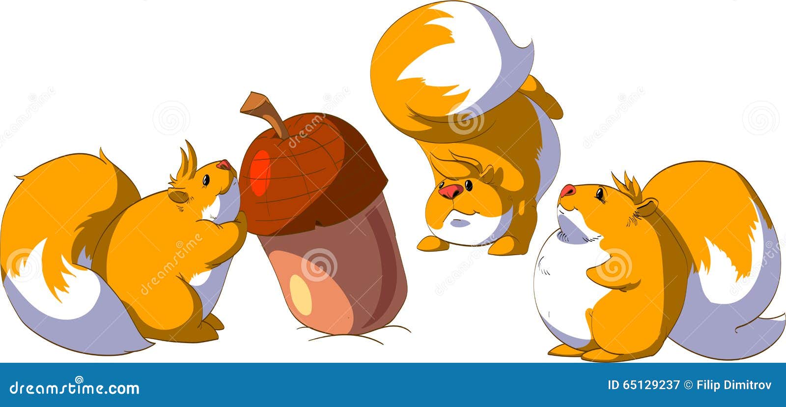 Squirrels with a nut. stock vector. Illustration of mascot - 65129237