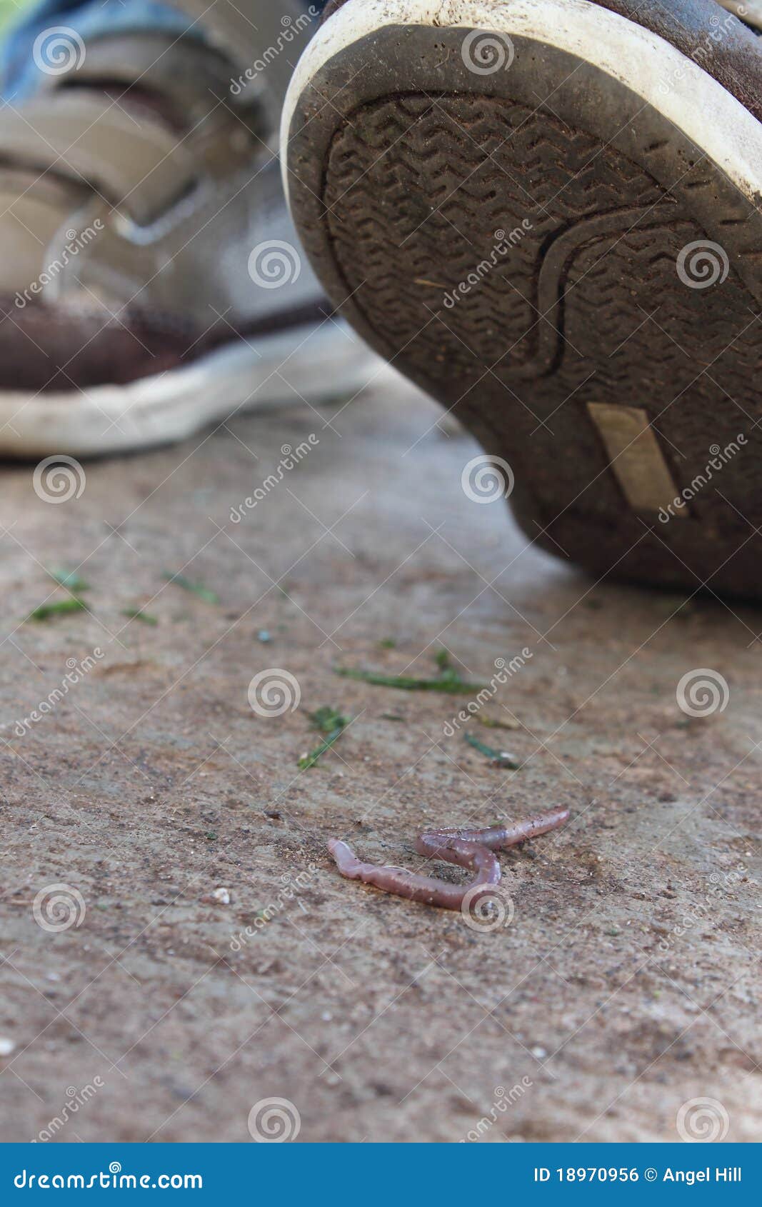 Squished stock photo. Image of shoes, boys, earth, shoe - 18970956
