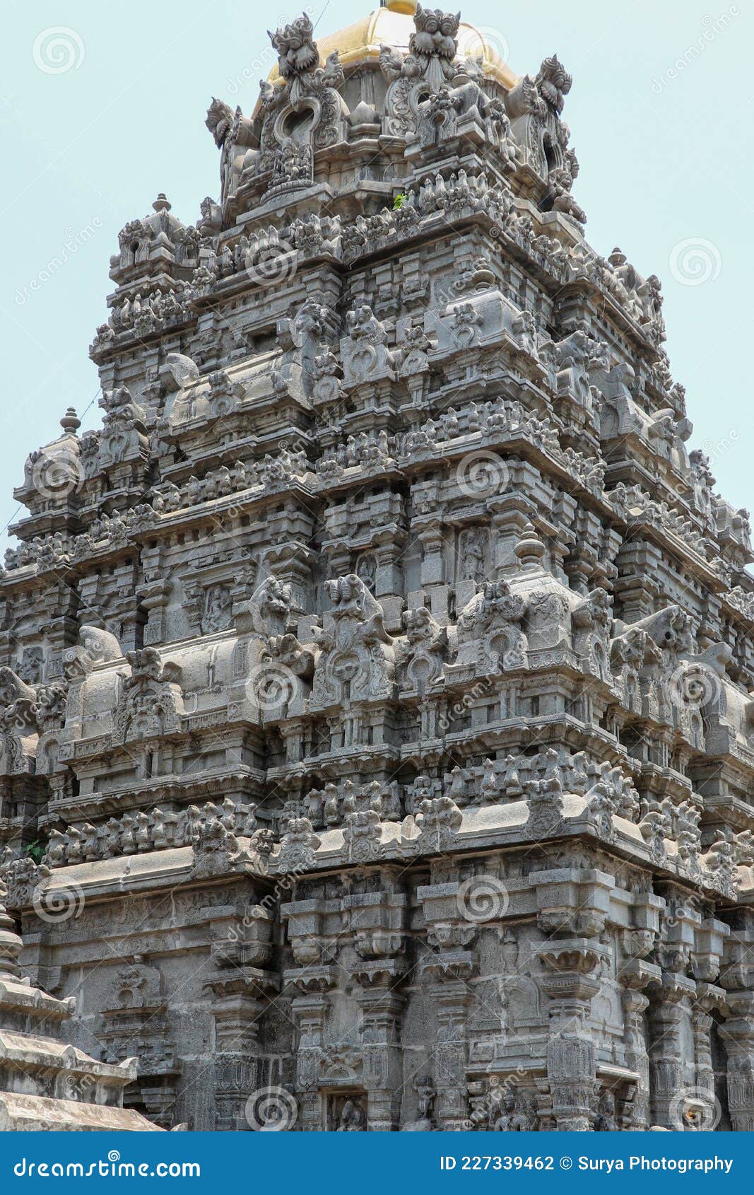 Sri Kurmam Stock Photos - Free & Royalty-Free Stock Photos from Dreamstime