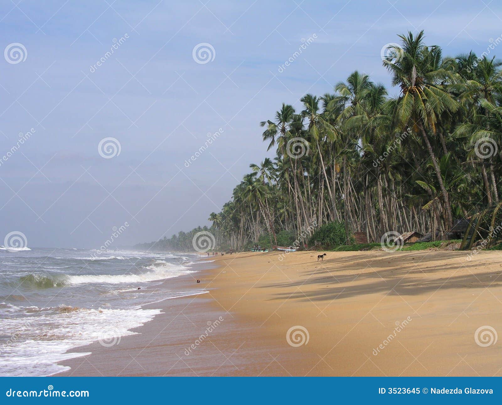 Sri Lanka, Ceylon, Coast of the Indian Ocean. Stock Image - Image of ...