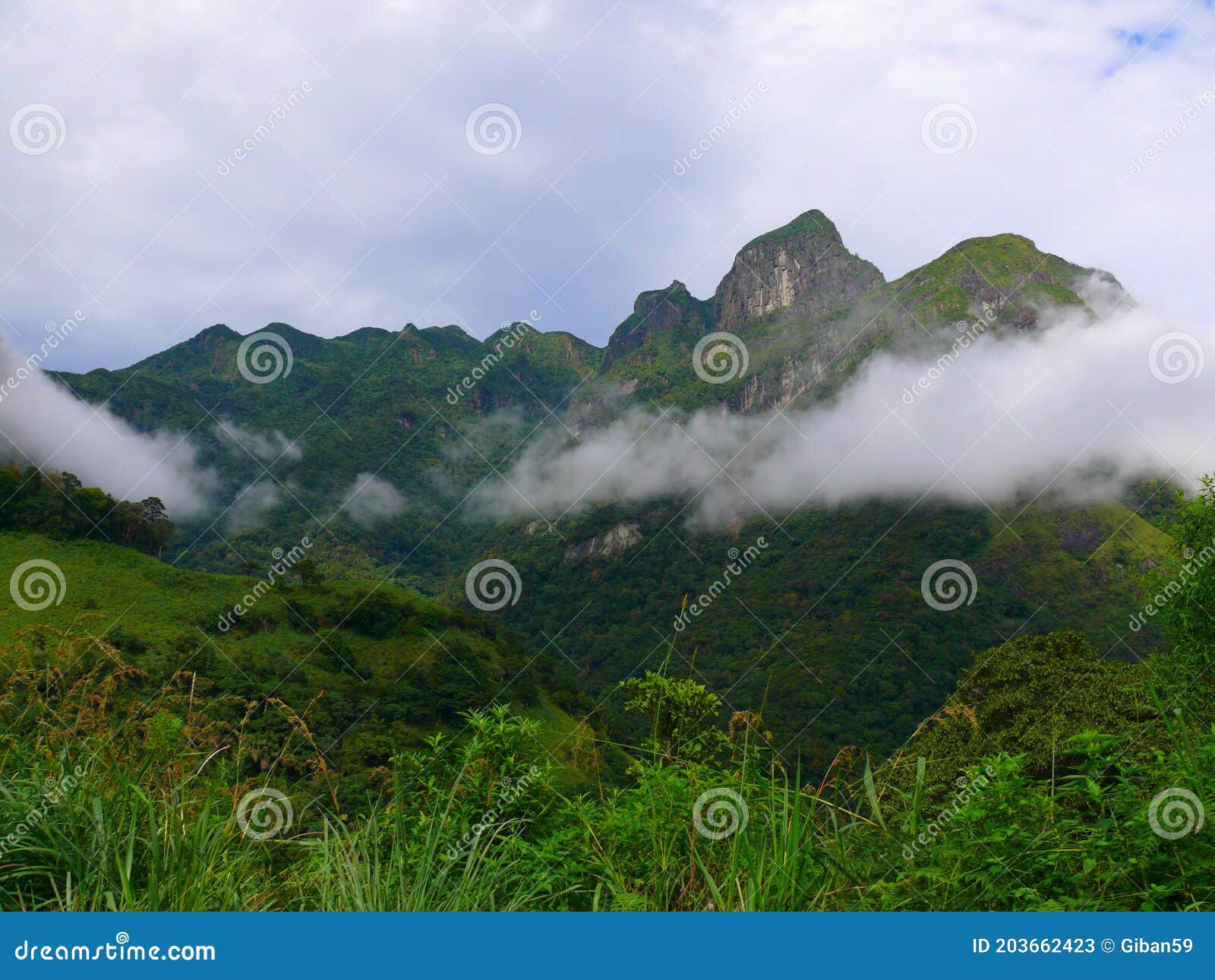 Sri Lanka Ceylon, Mountains and Rice Fields Stock Image - Image of ...