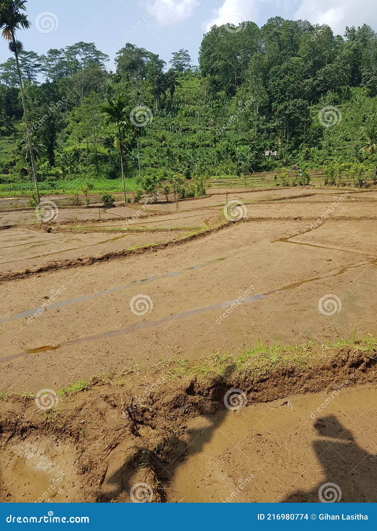 Sri lanka fady feel foto de archivo. Imagen de aldea - 216980774