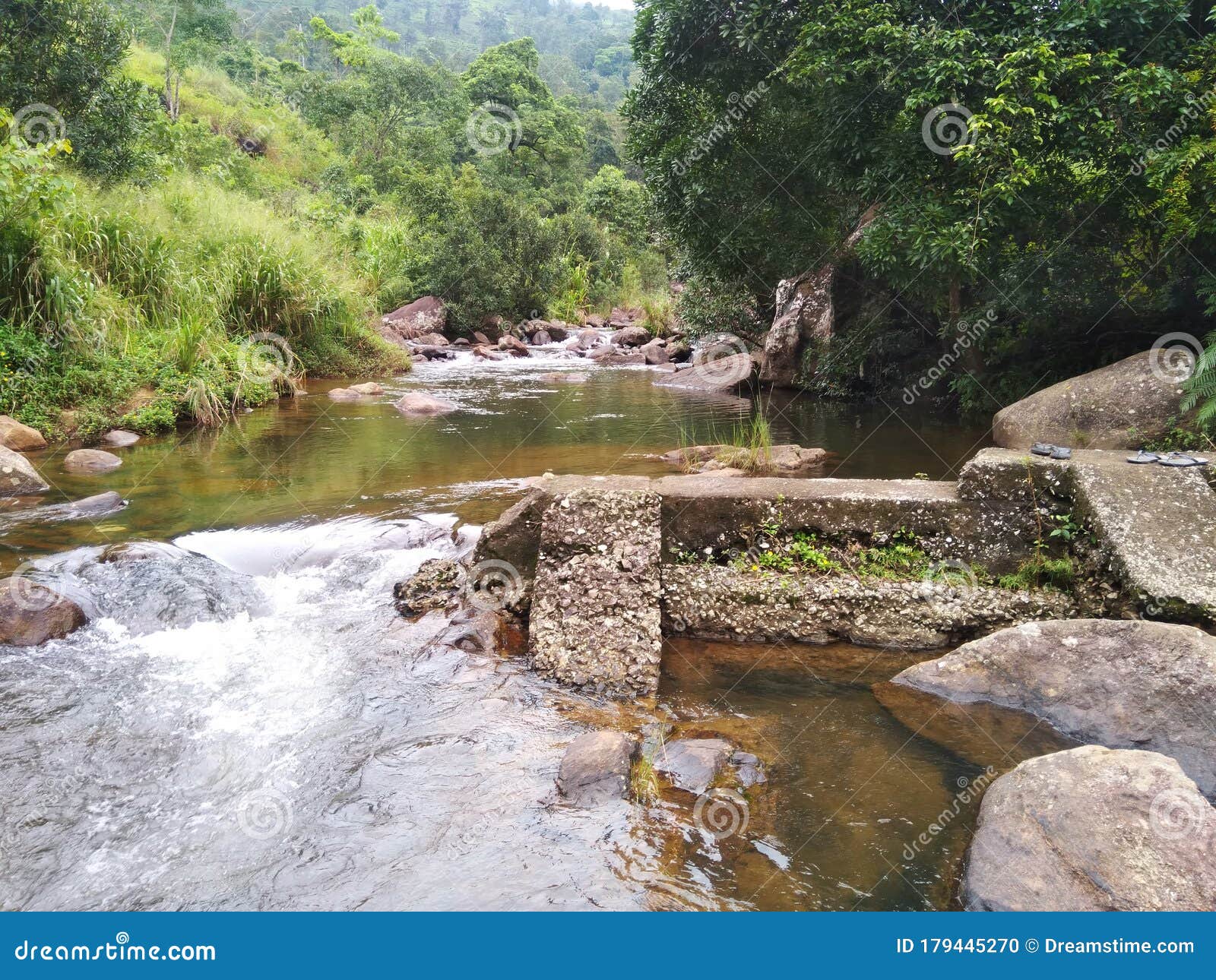 Sri Lanka Mountain Waterfall In Jungle Stock Photo | CartoonDealer.com ...