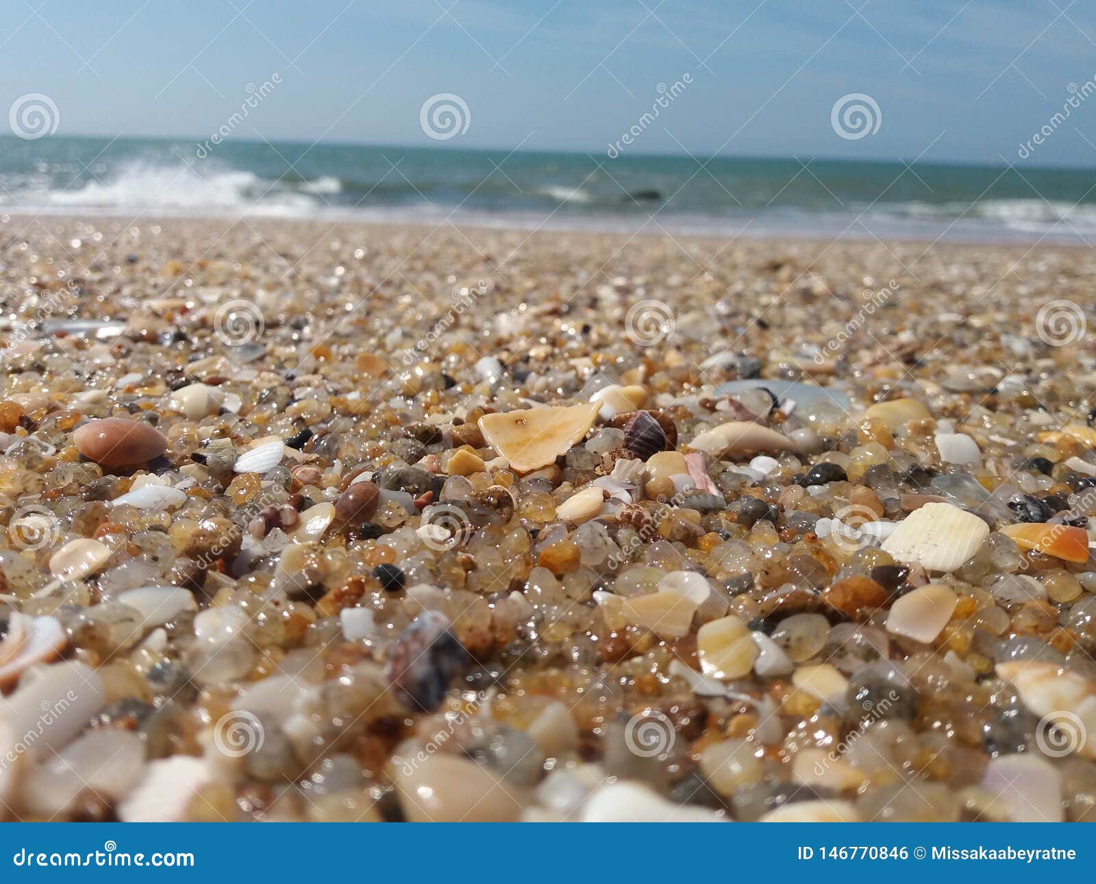 Sri Lanka Western Beach stock photo. Image of western - 146770846