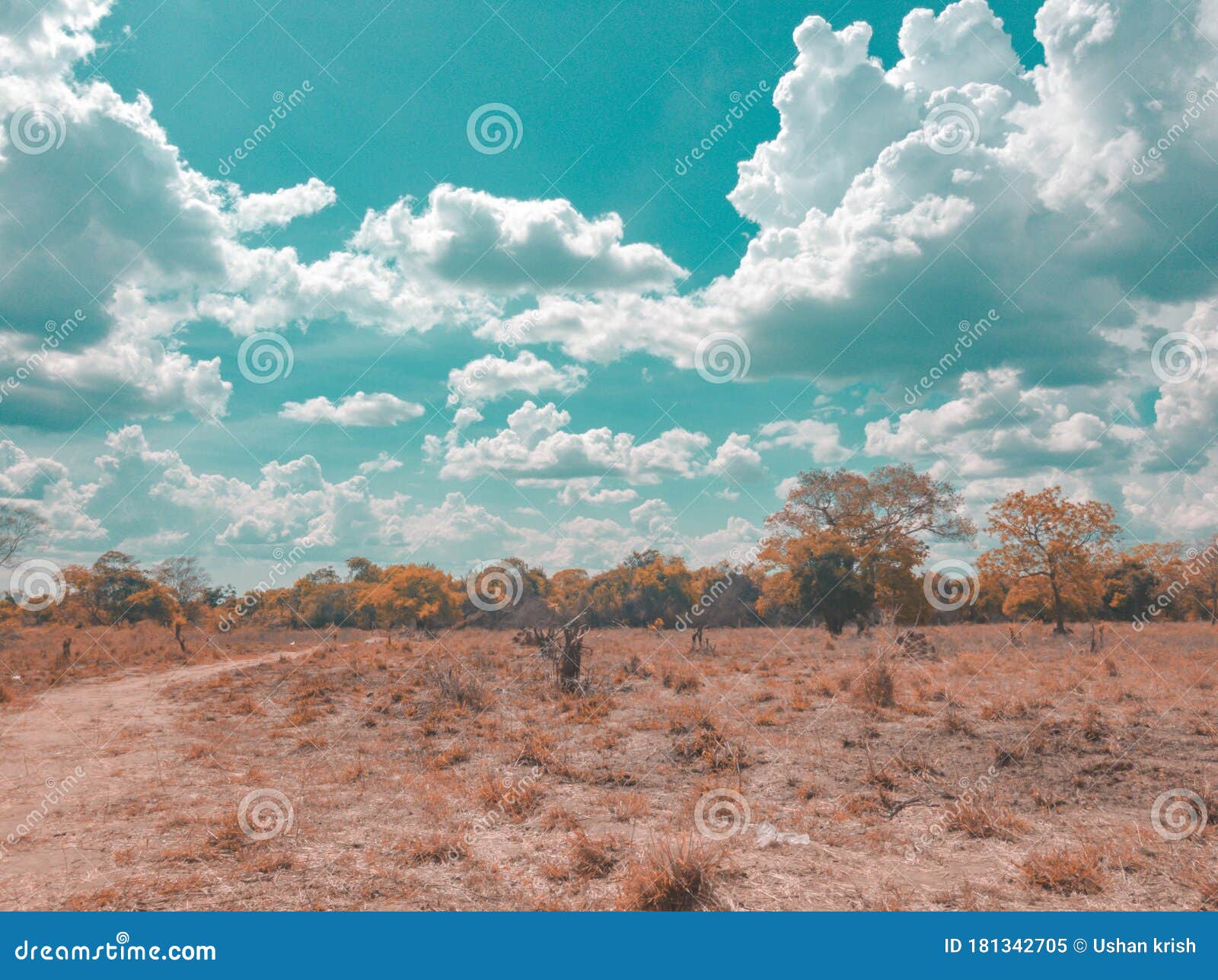 Sri lankan dry zone. stock image. Image of hill, zone - 181342705