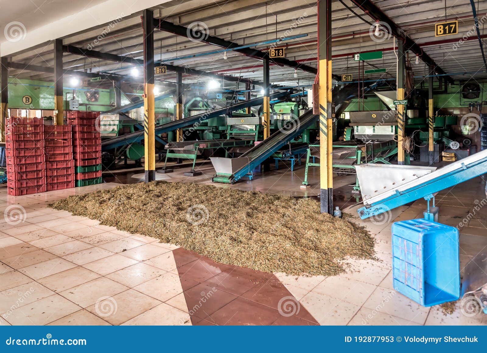 Sri Lankan tea factory stock image. Image of business - 192877953