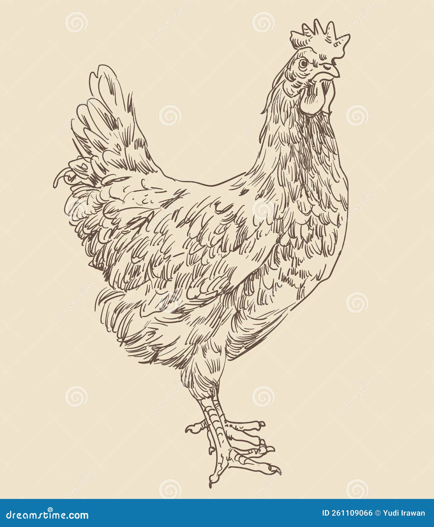 Broilers Vector Illustration Clip Art Hand Draw Stock Vector ...