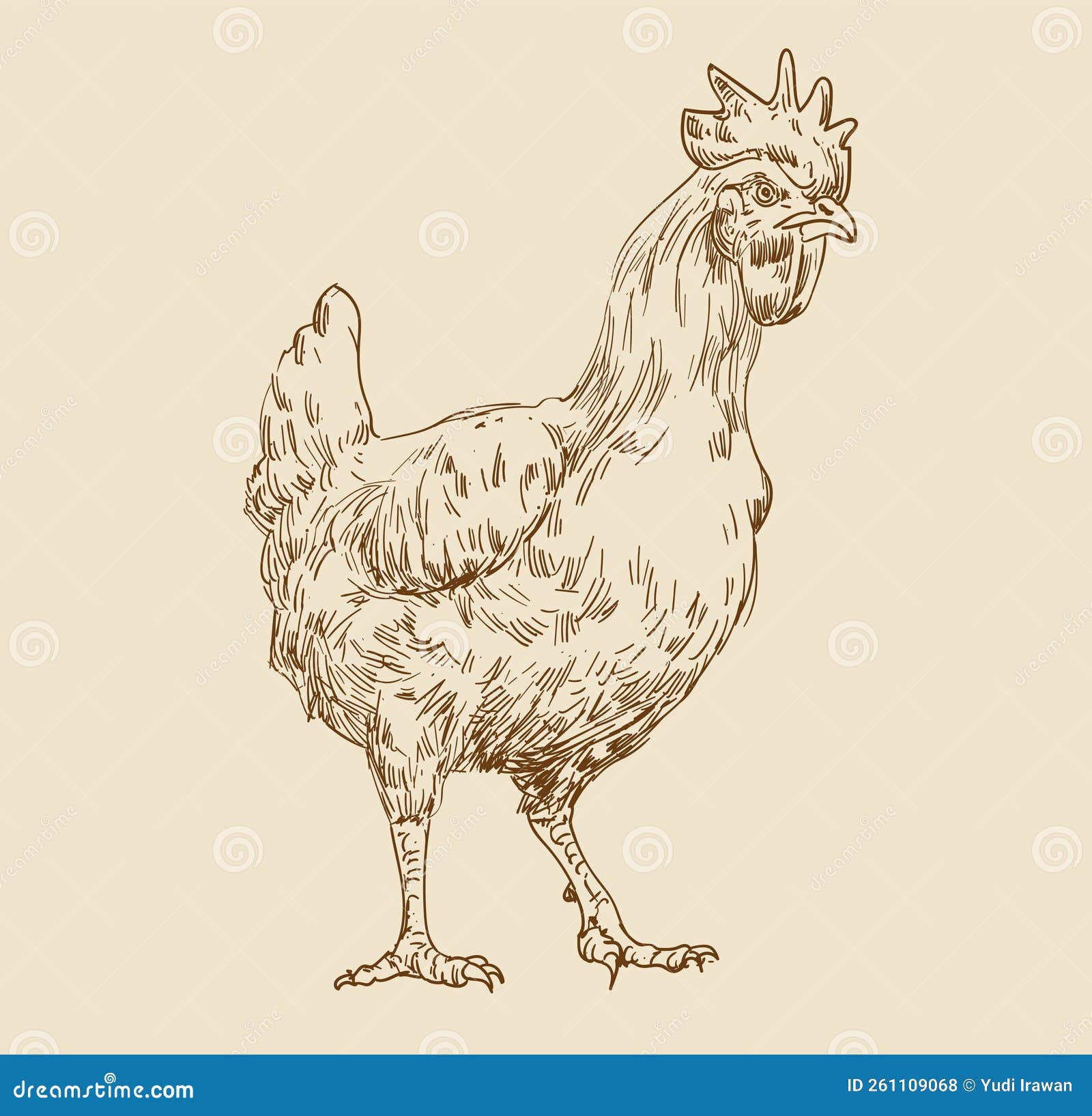 Hand Draw Broilers Illustration Clip Art Stock Vector - Illustration of ...