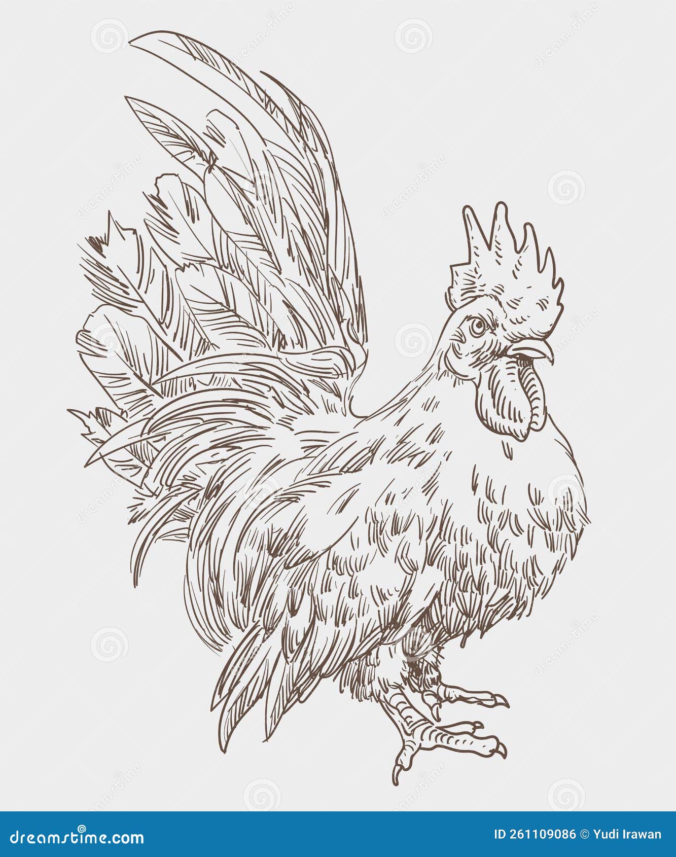 Short-legged Bantam Chicken Vector Illustration Hand Draw Stock Vector ...