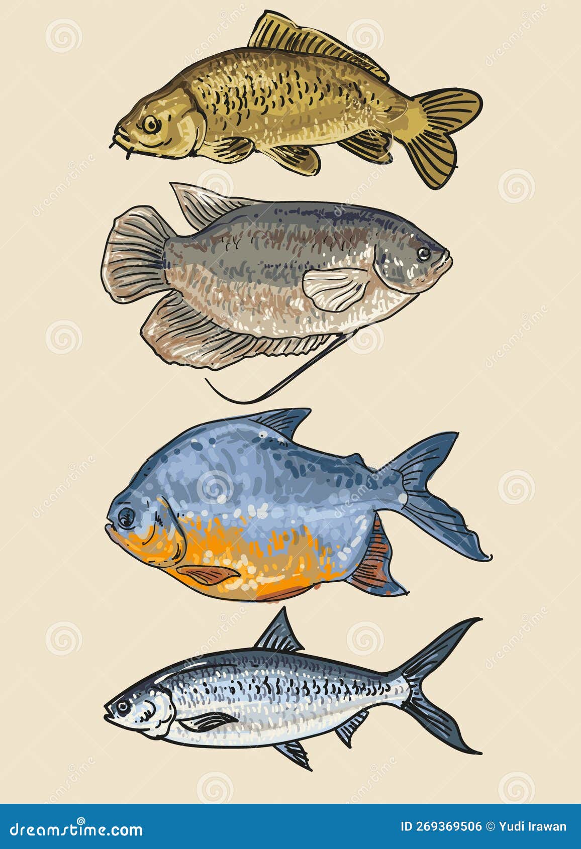 Hand Draw Fish Colour Collection Vector Illustration Stock Vector ...