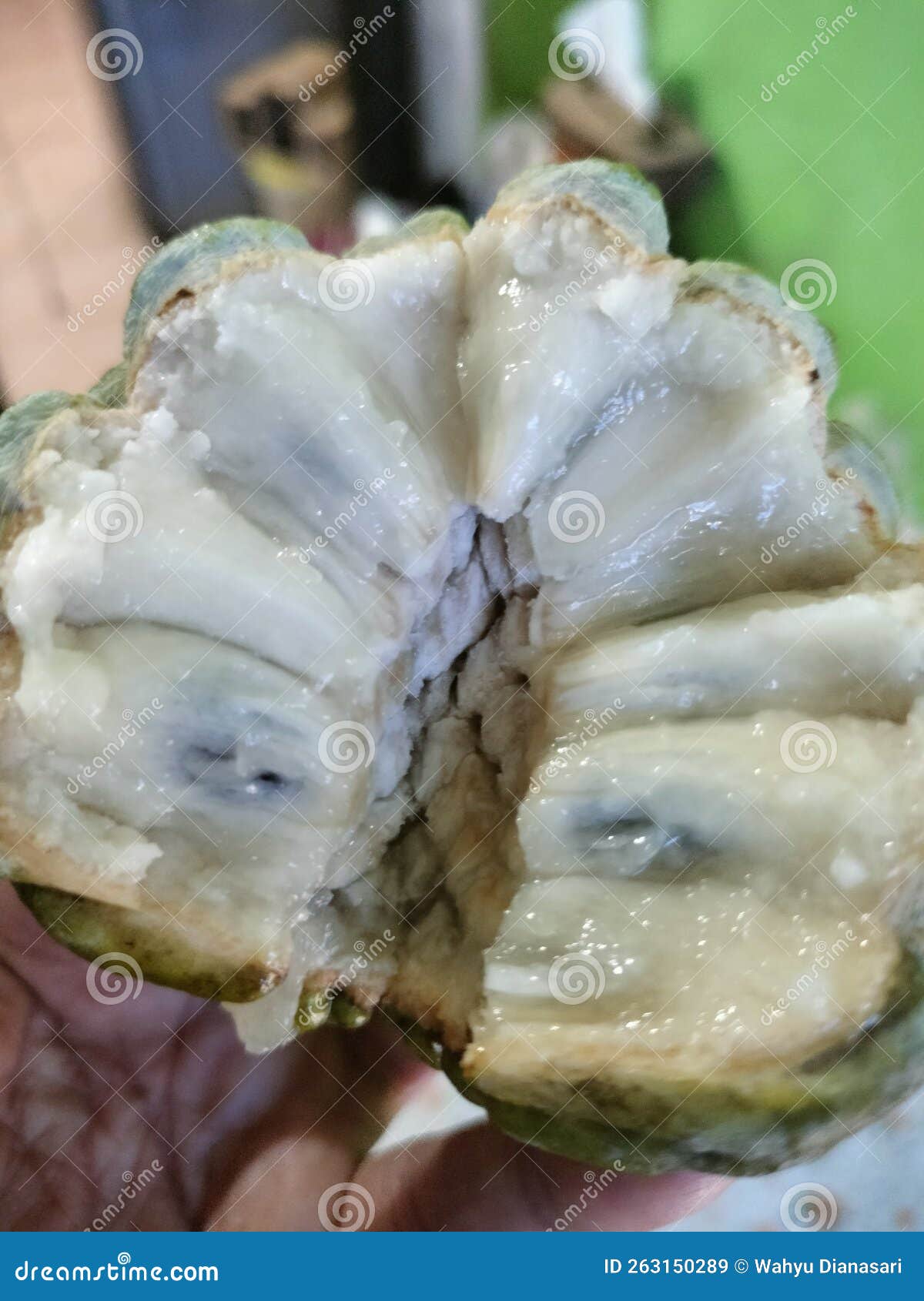 Srikaya fruit stock image. Image of dish, srikaya, local - 263150289