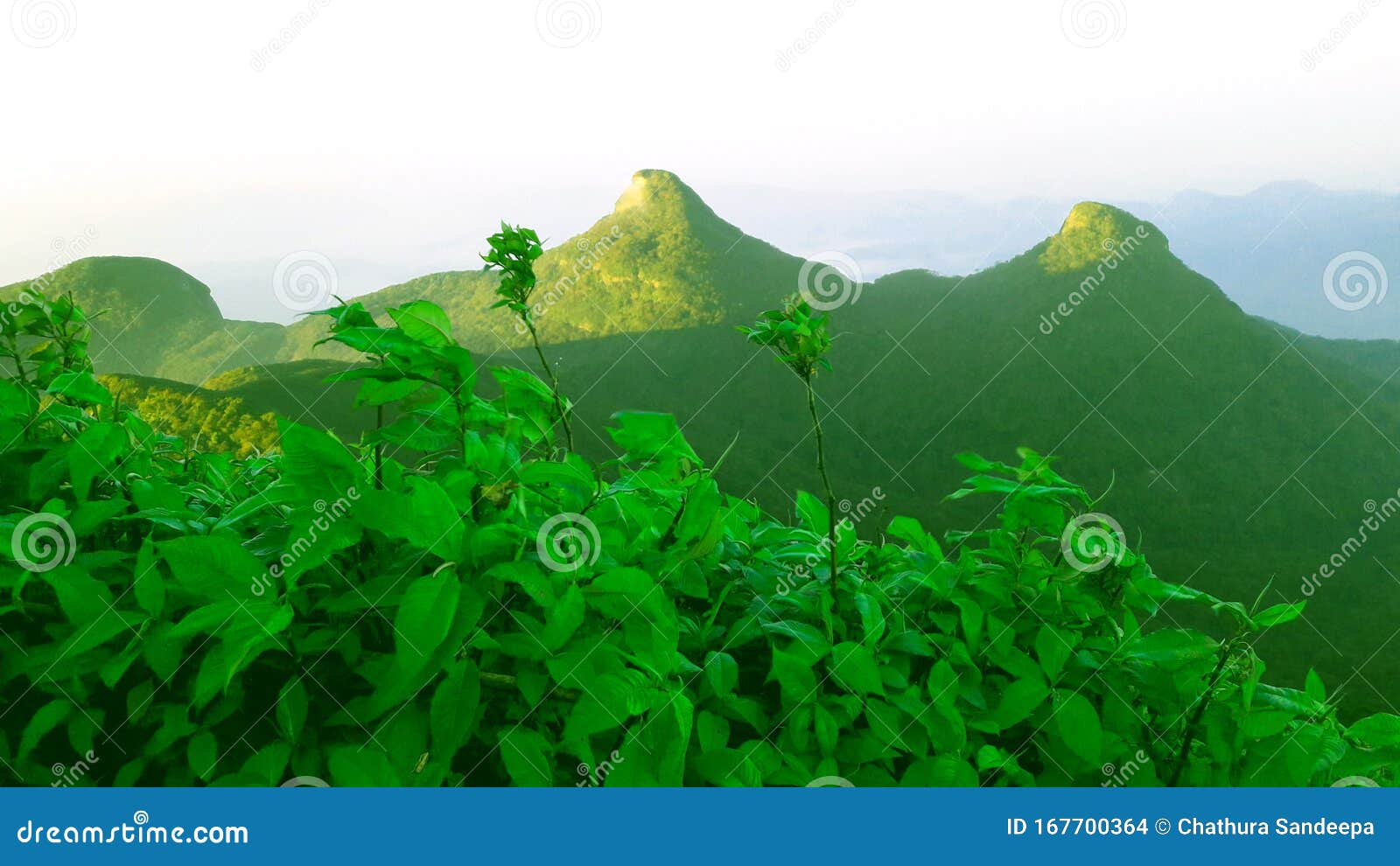 181 Sripada Stock Photos - Free & Royalty-Free Stock Photos from Dreamstime