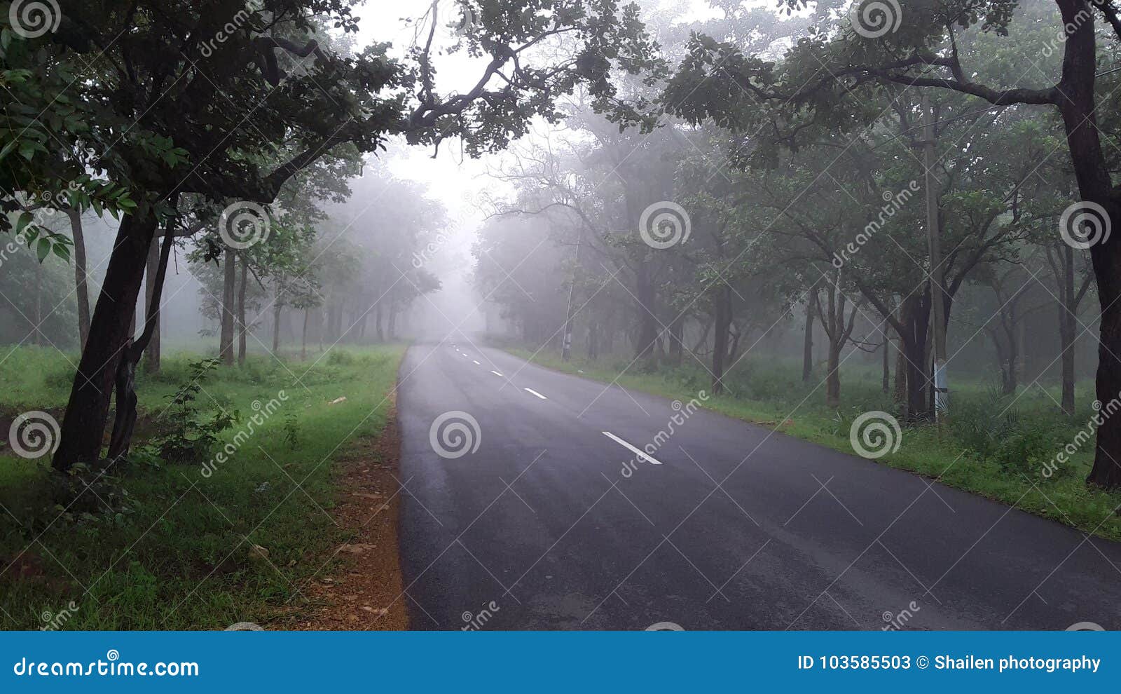 Srisailam Forest View, Andhra Pradesh, India Stock Image - Image of ...