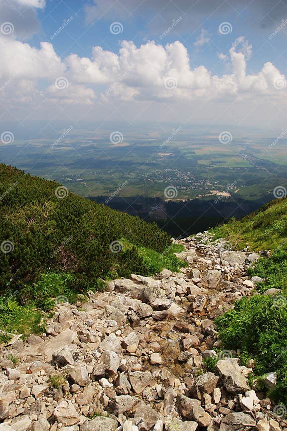 Ssel stock photo. Image of life, nature, land, creek - 12101014