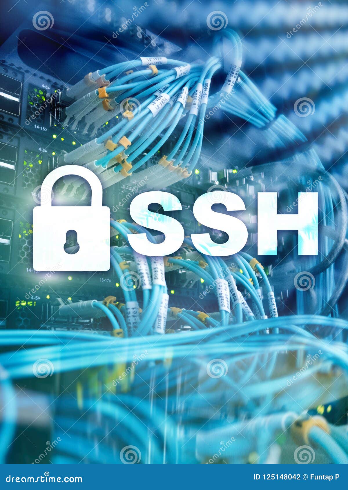 SSH, Secure Shell Protocol and Software. Data Protection, Internet and ... SSH, Secure Shell Protocol and Software. Data Protection, Internet and ...