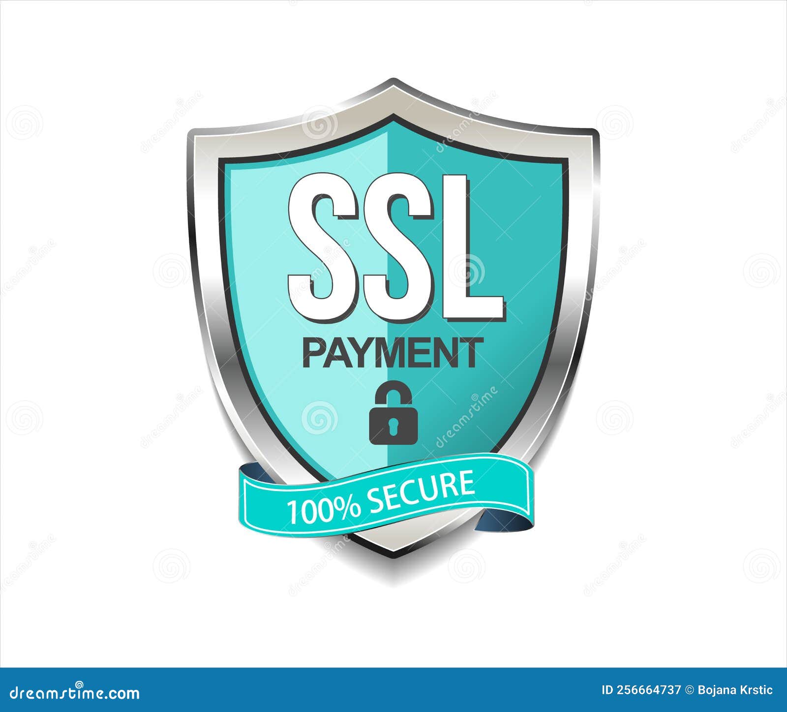 SSL Protection Secure Icon Vector Illustration Isolated on White ...