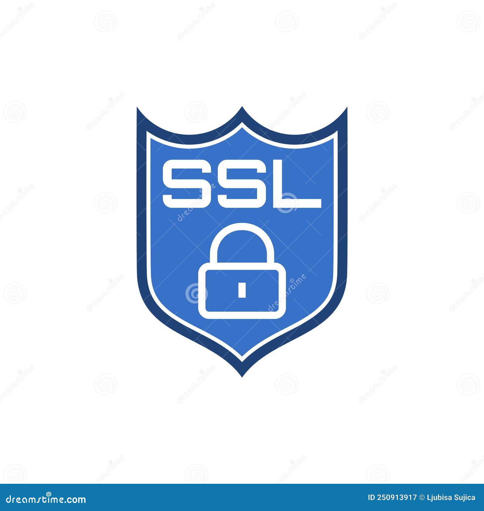 Ssl Secure Connection Icon Isolated On White Background Stock Vector