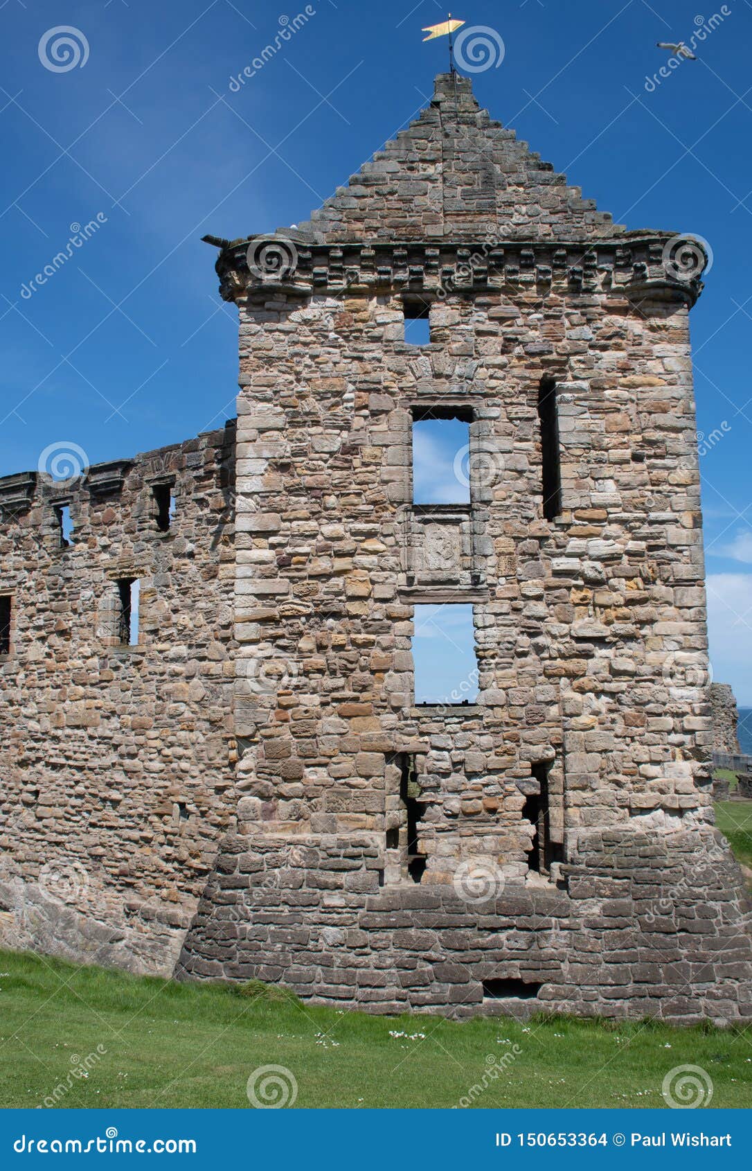 St Andrews Castle Ruins Scotland Stock Photo - Image of royal, andrew ...