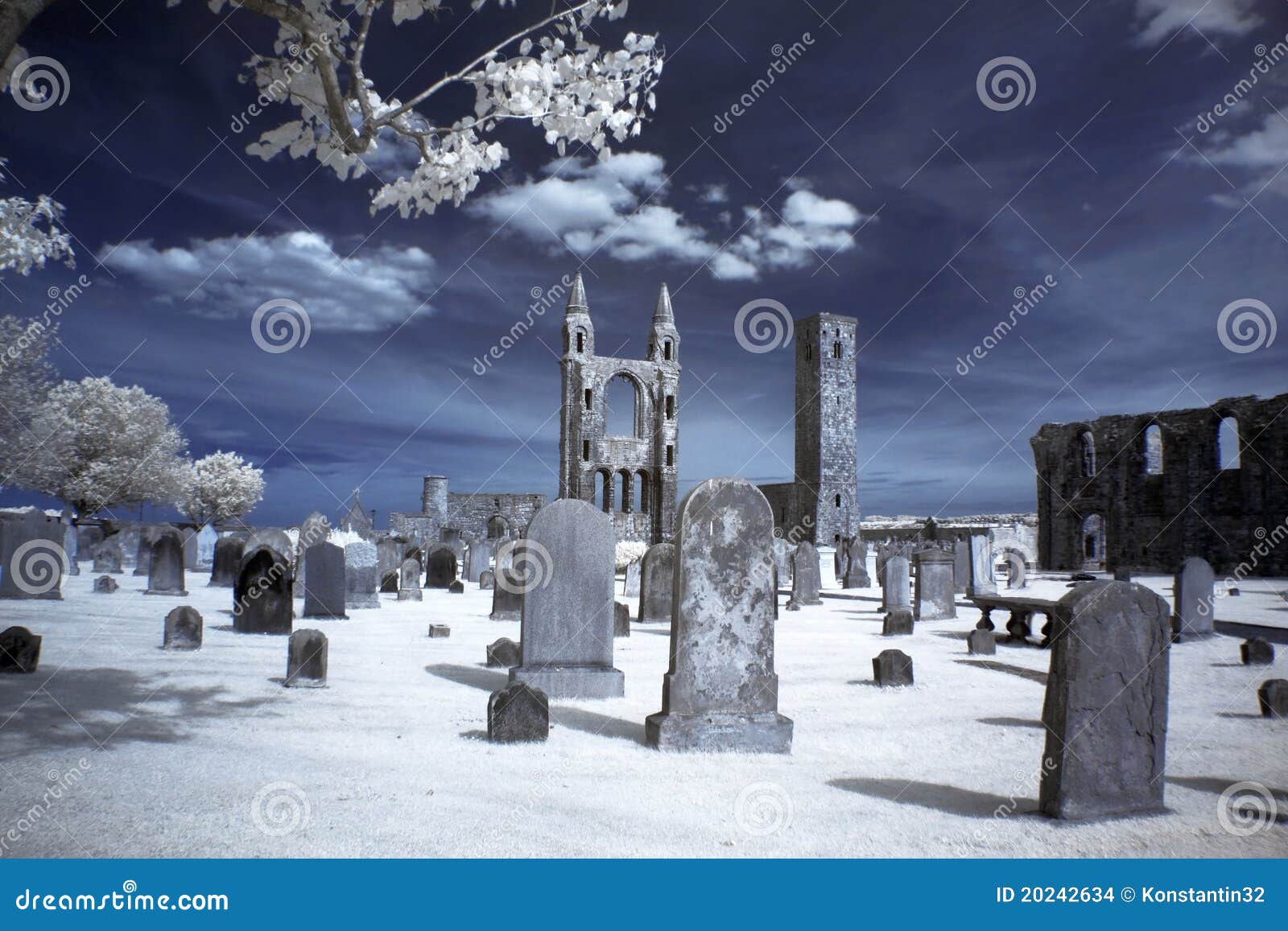St Andrews Cathedral Grounds Stock Photo - Image of cityscape, castle ...