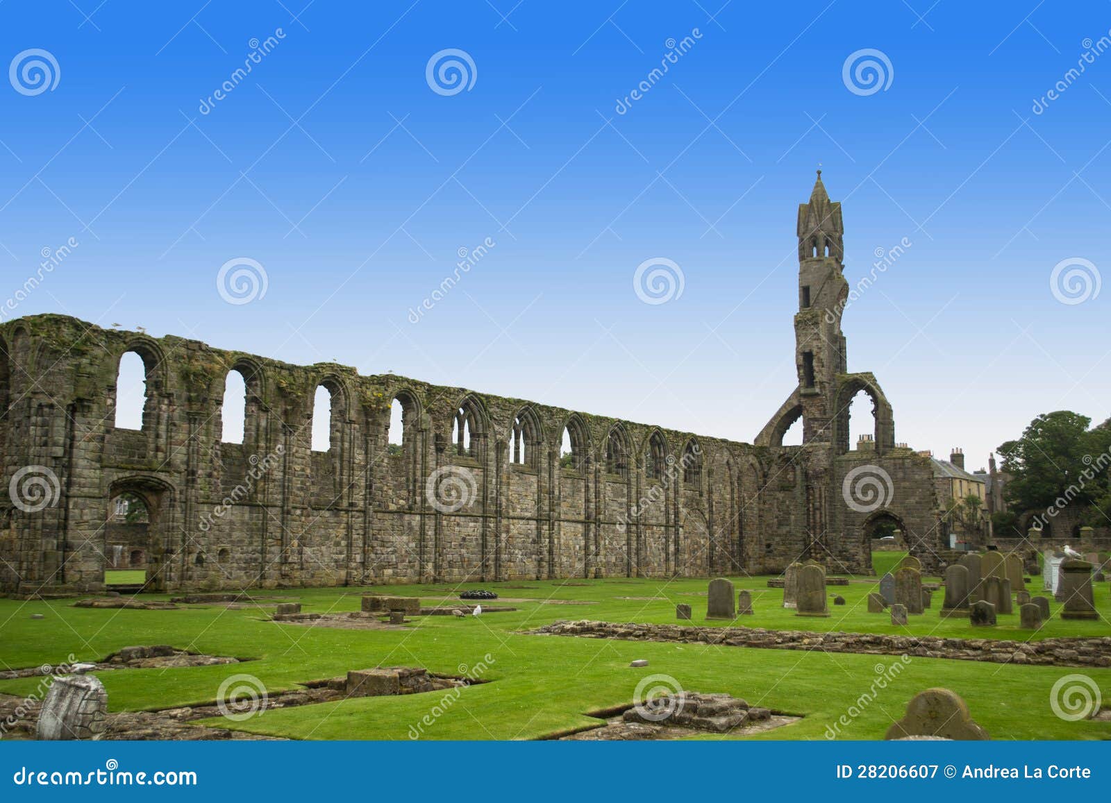 St Andrews Cathedral Grounds Stock Image - Image of view, urban: 28206607