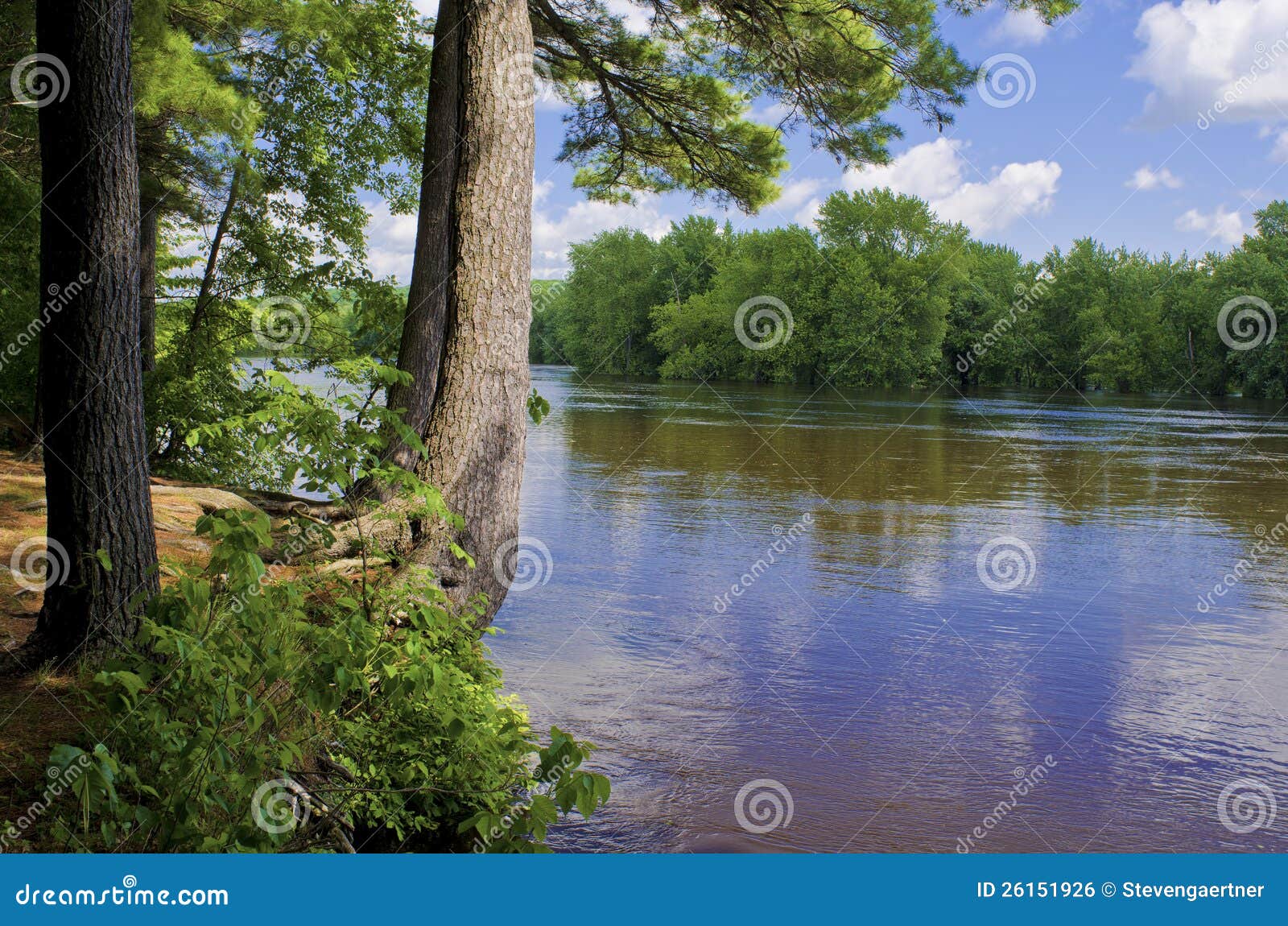 St. Croix River Shoreline stock photo. Image of rural - 26151926